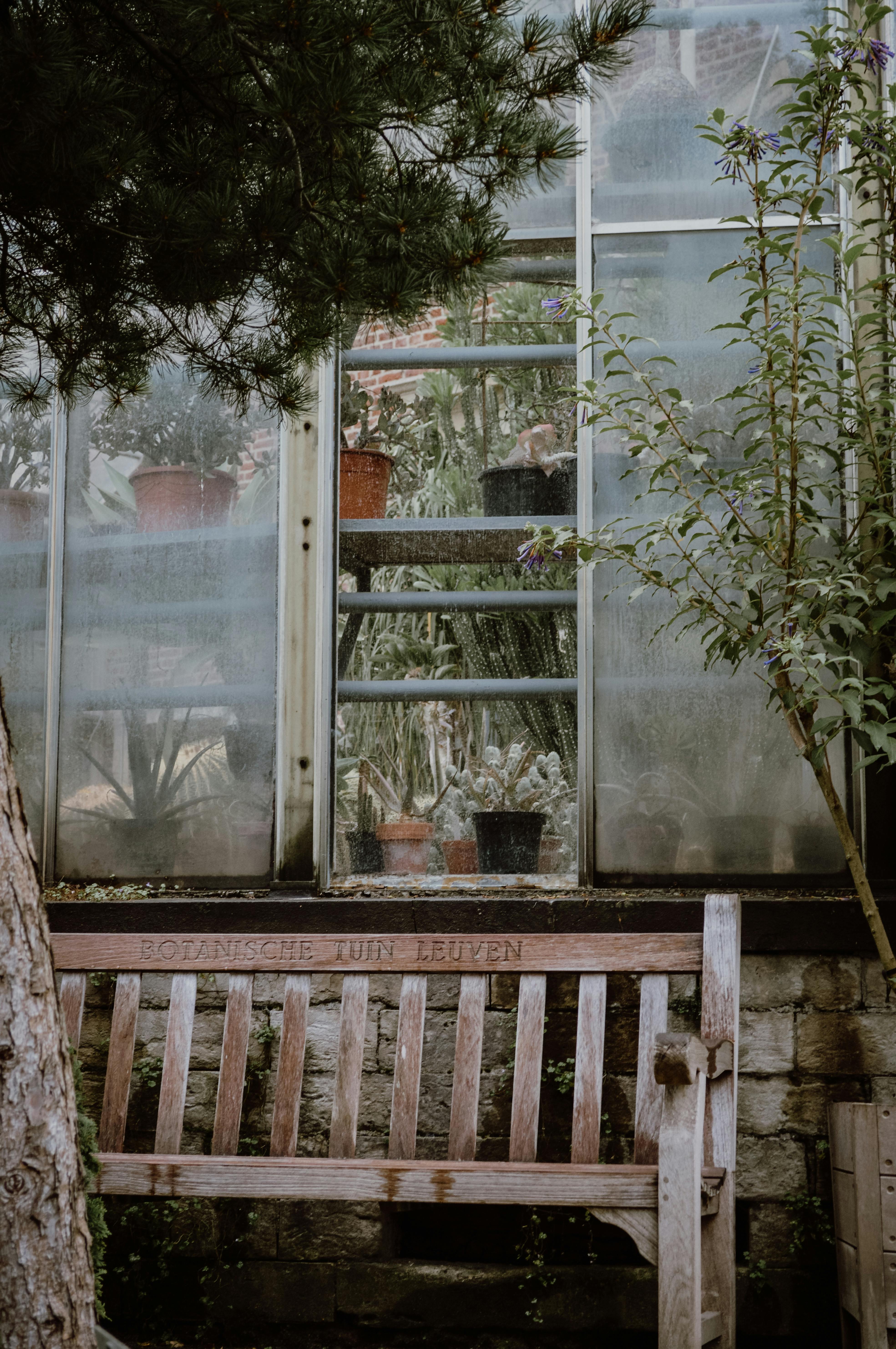 Wooden Bench under a Glass Window · Free Stock Photo