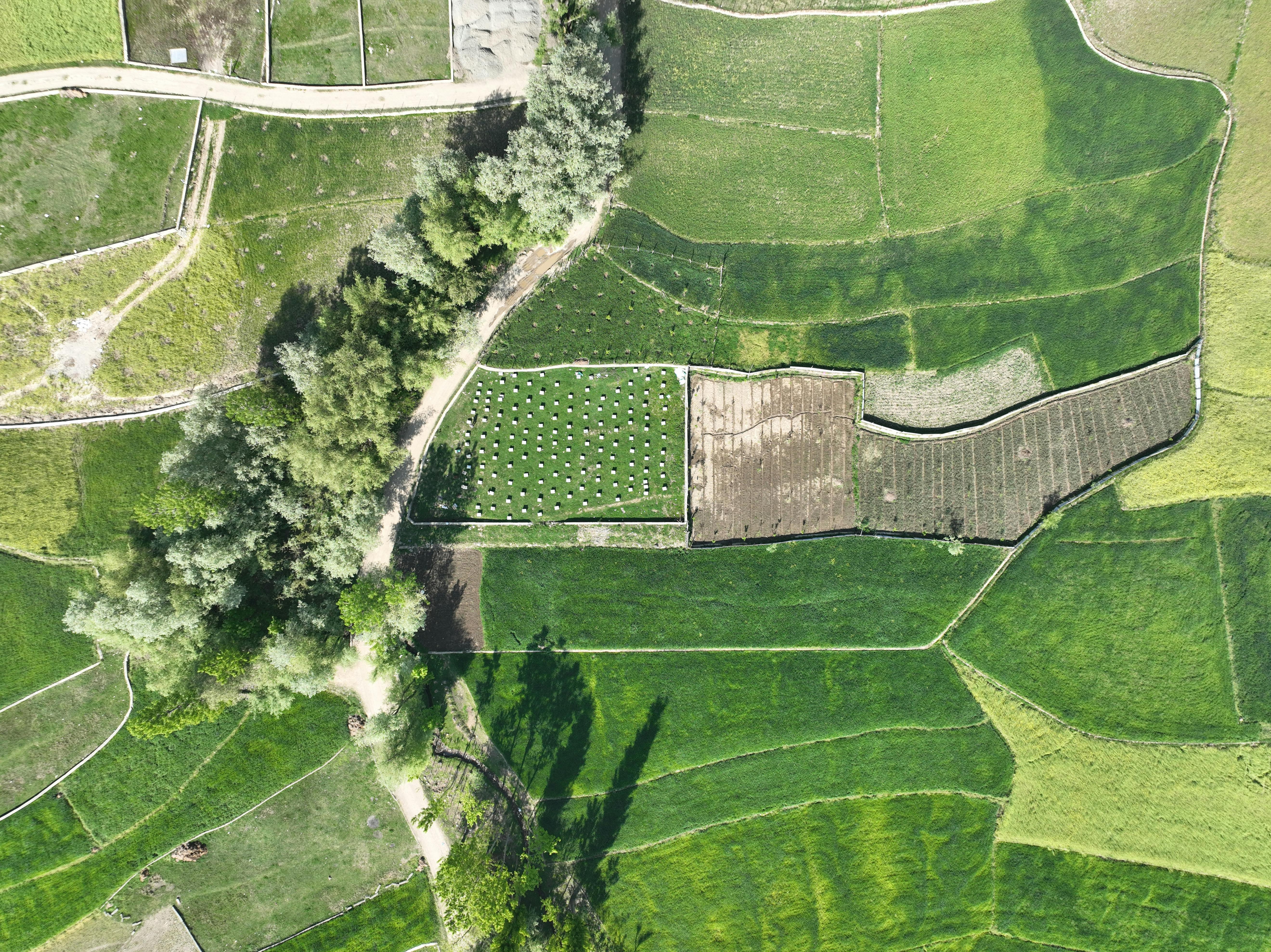 Aerial Photography of Fields · Free Stock Photo