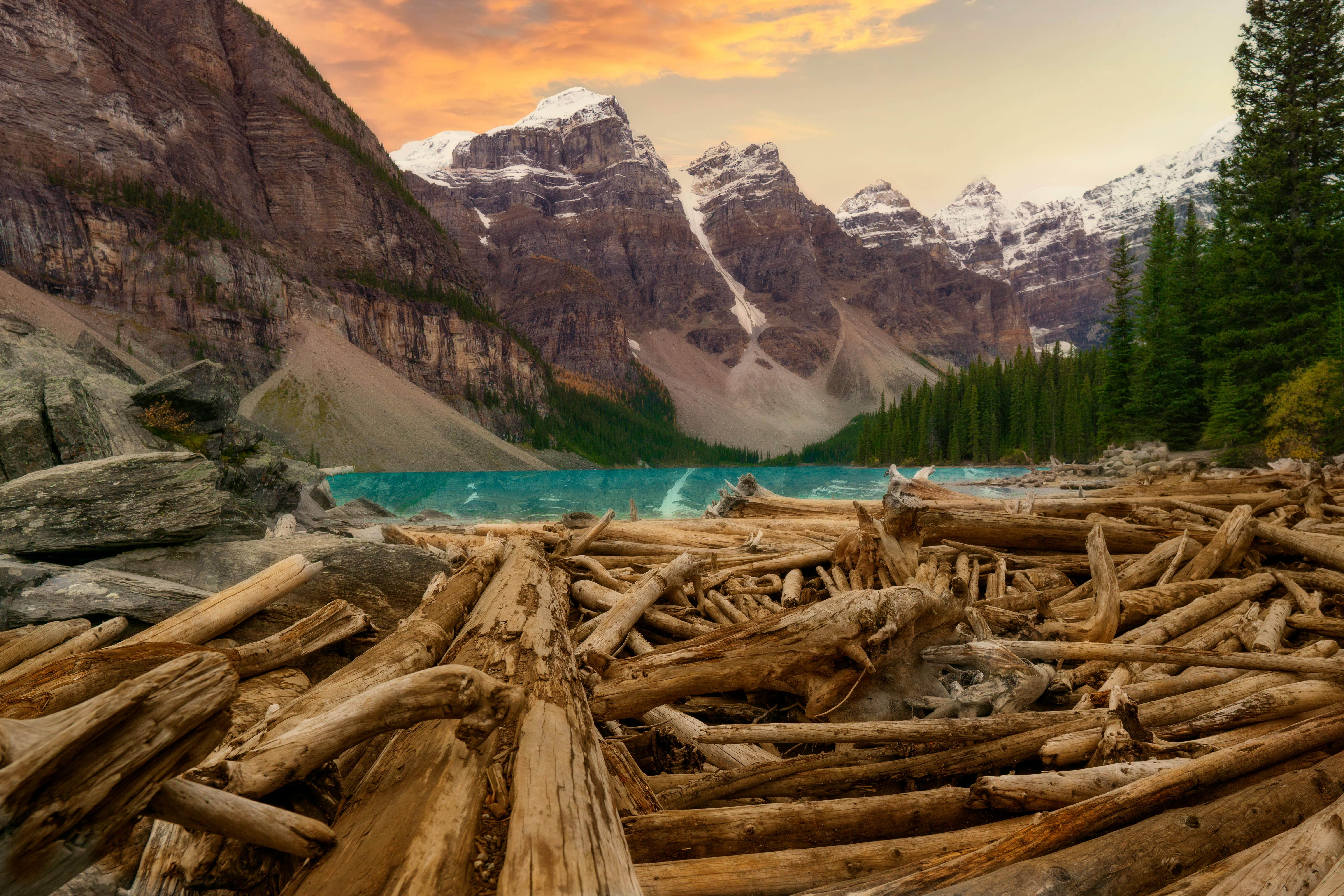 Wooden Logs Near Moraine Lake · Free Stock Photo
