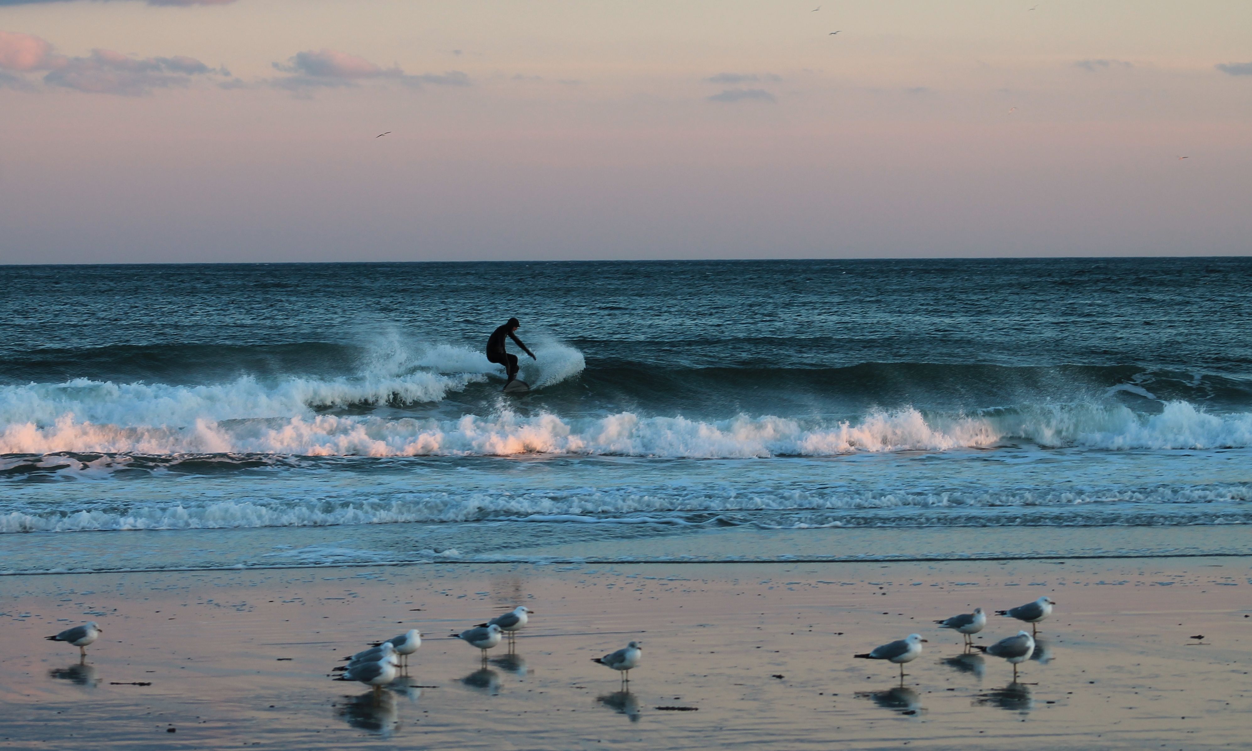 Photo of Surfing on the Sea during Dawn · Free Stock Photo