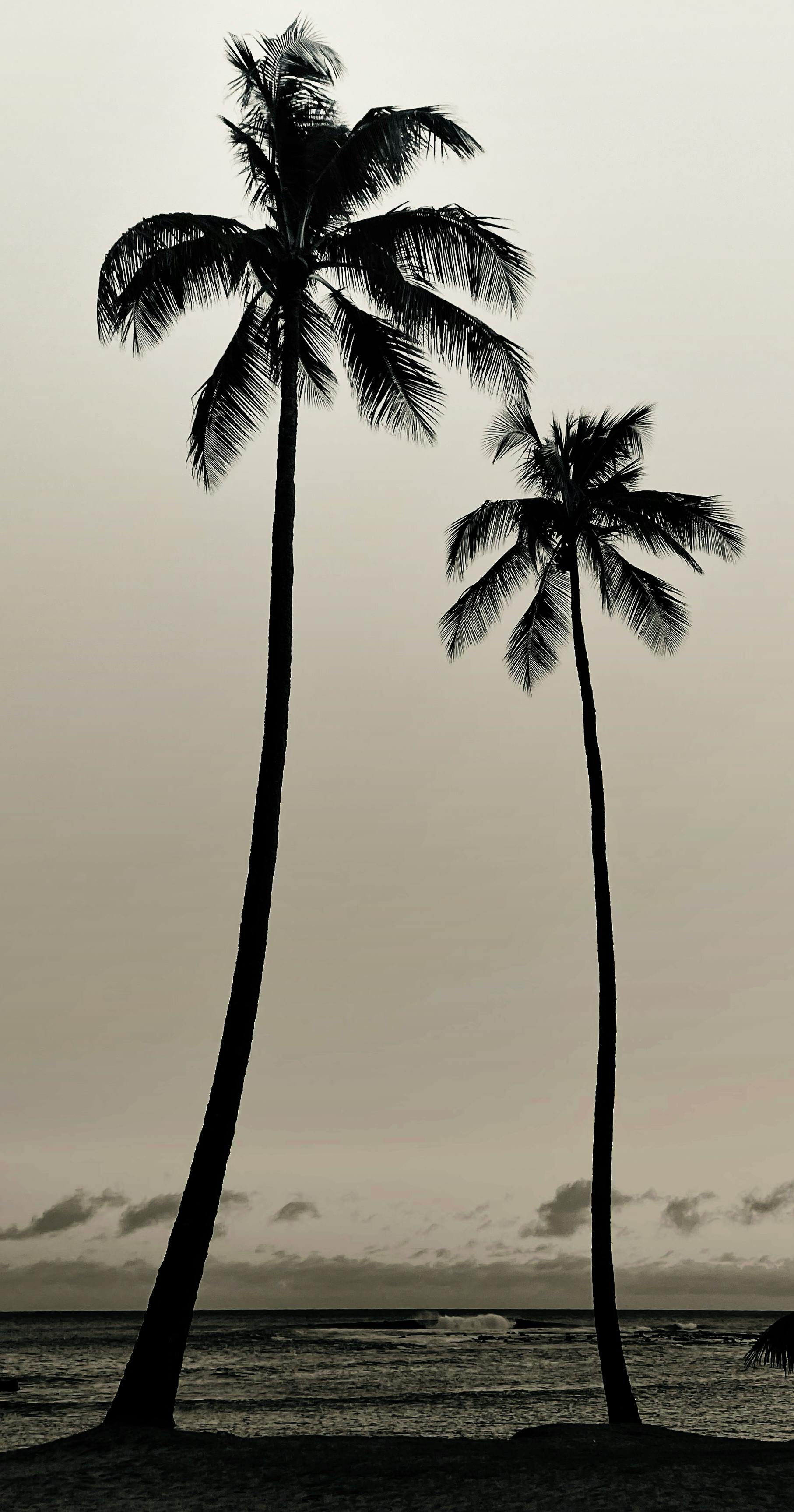 Nature Snapshots 28 Photos & Videos Collected by Julia