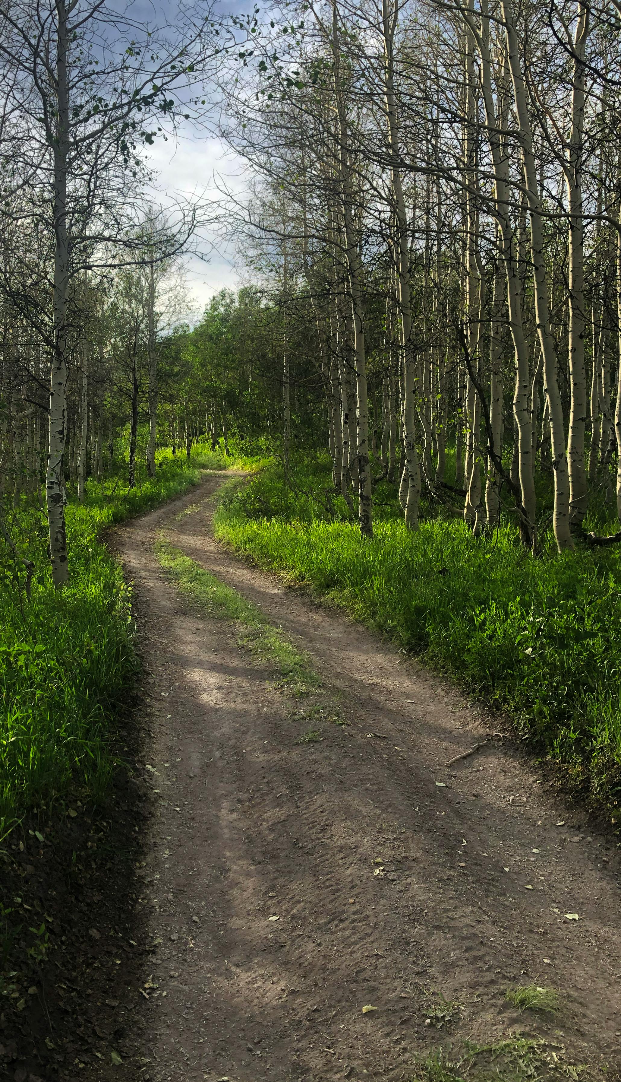 Nature Snapshots 28 Photos & Videos Collected by Julia