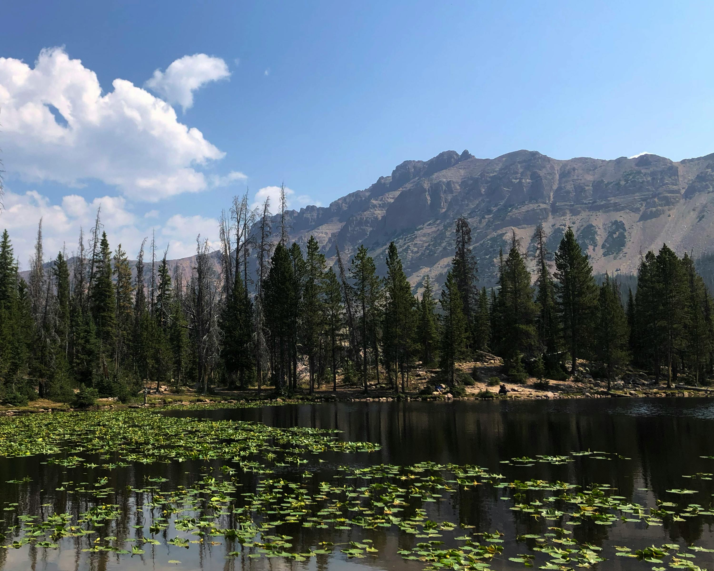 Nature Snapshots 28 Photos & Videos Collected by Julia