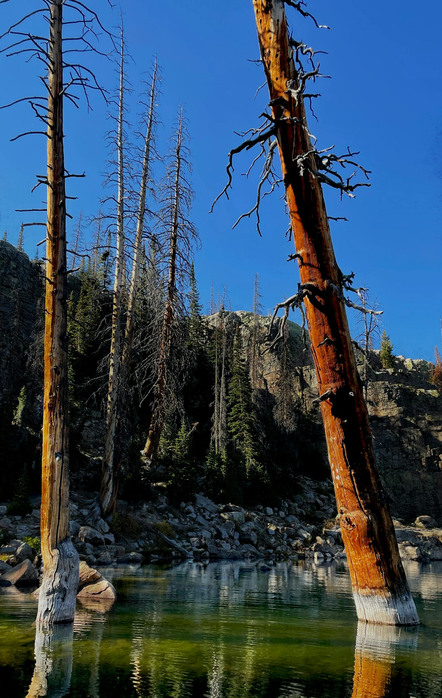 Nature Snapshots 28 Photos & Videos Collected by Julia