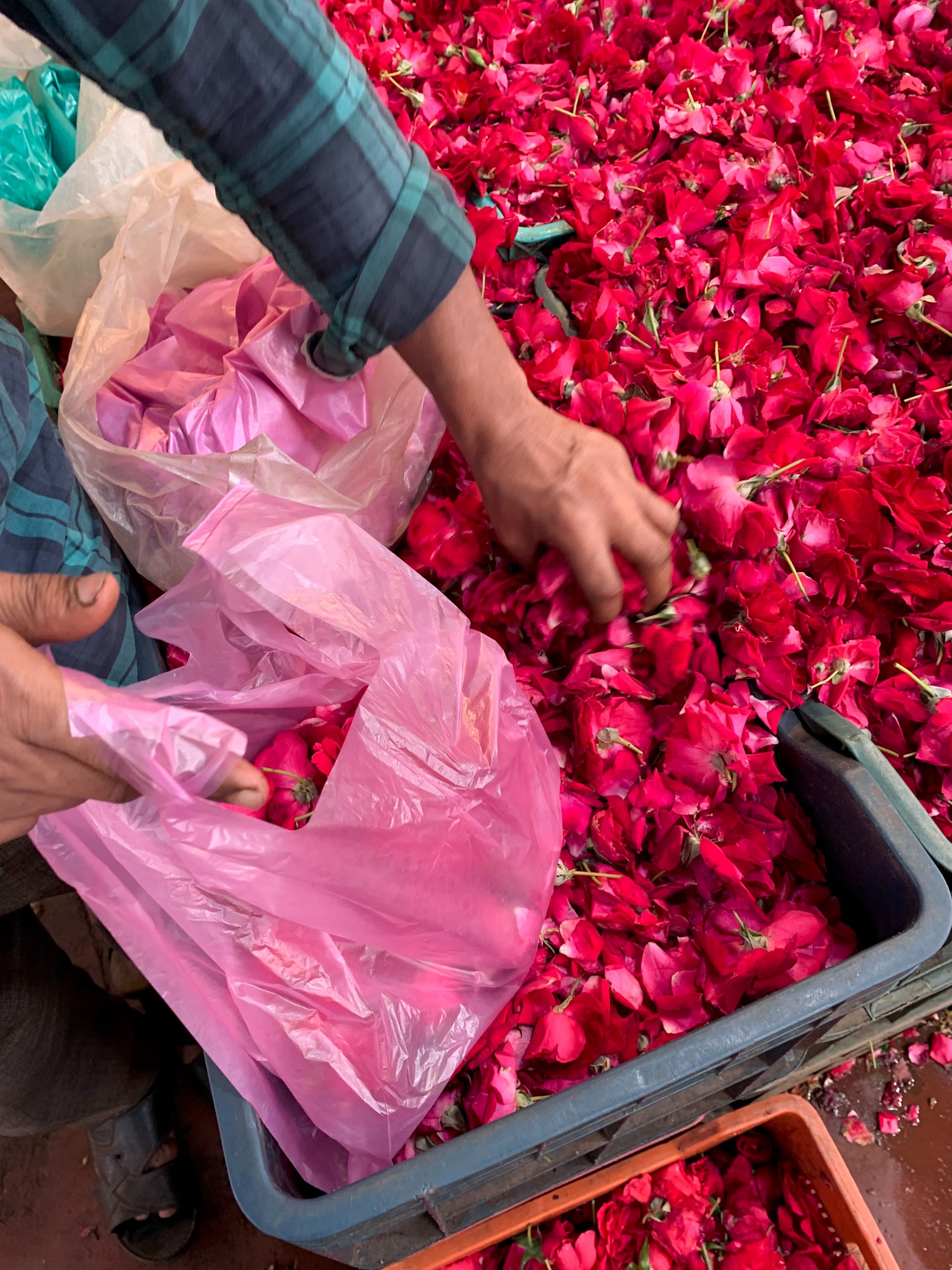 Flower Shop Background Photos, Download The BEST Free Flower Shop ...