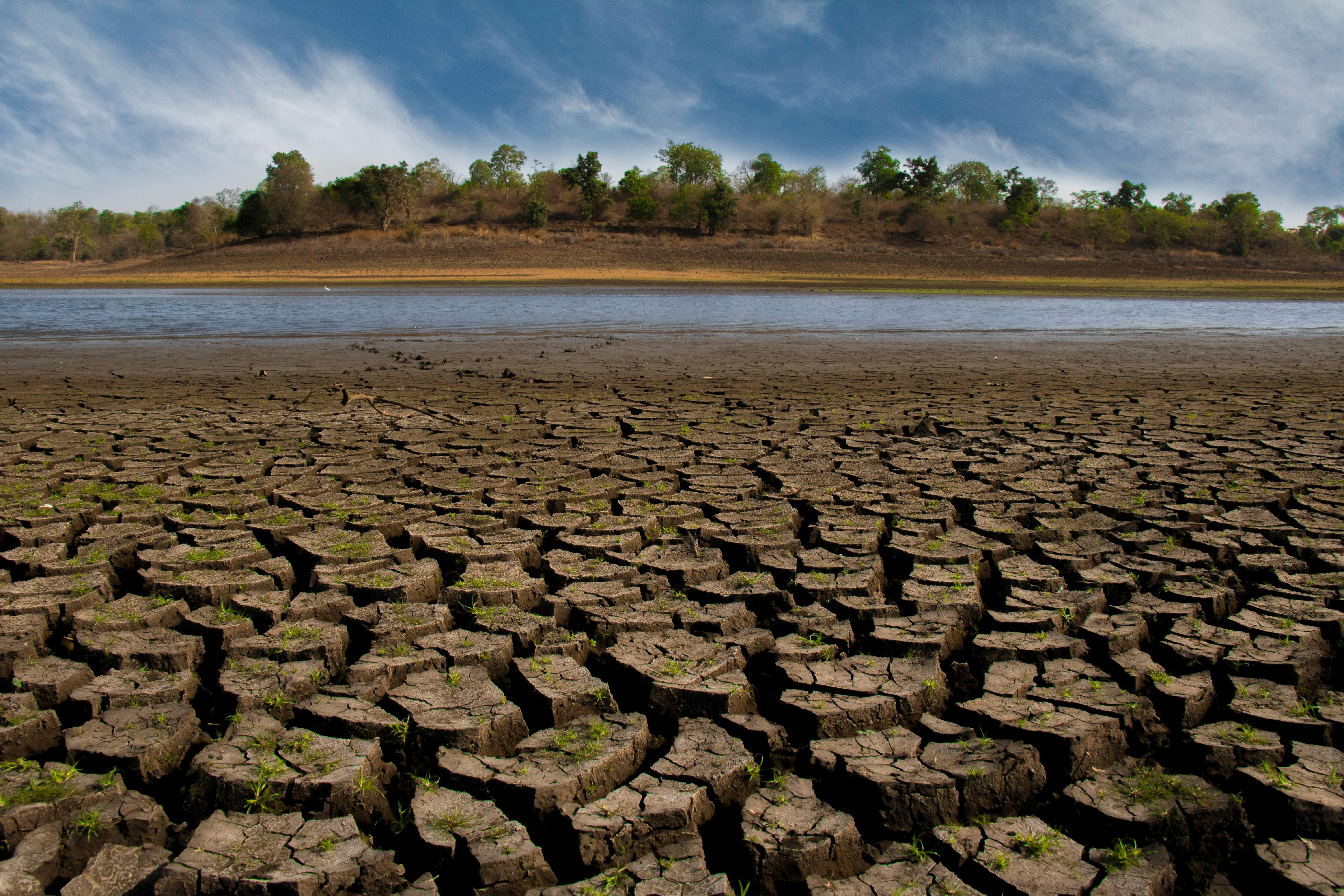 Free stock photo of blue sky, drought, dry