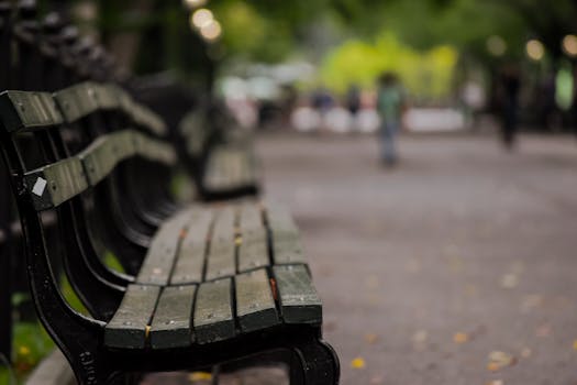1000+ Beautiful Park Bench Photos · Pexels · Free Stock Photos