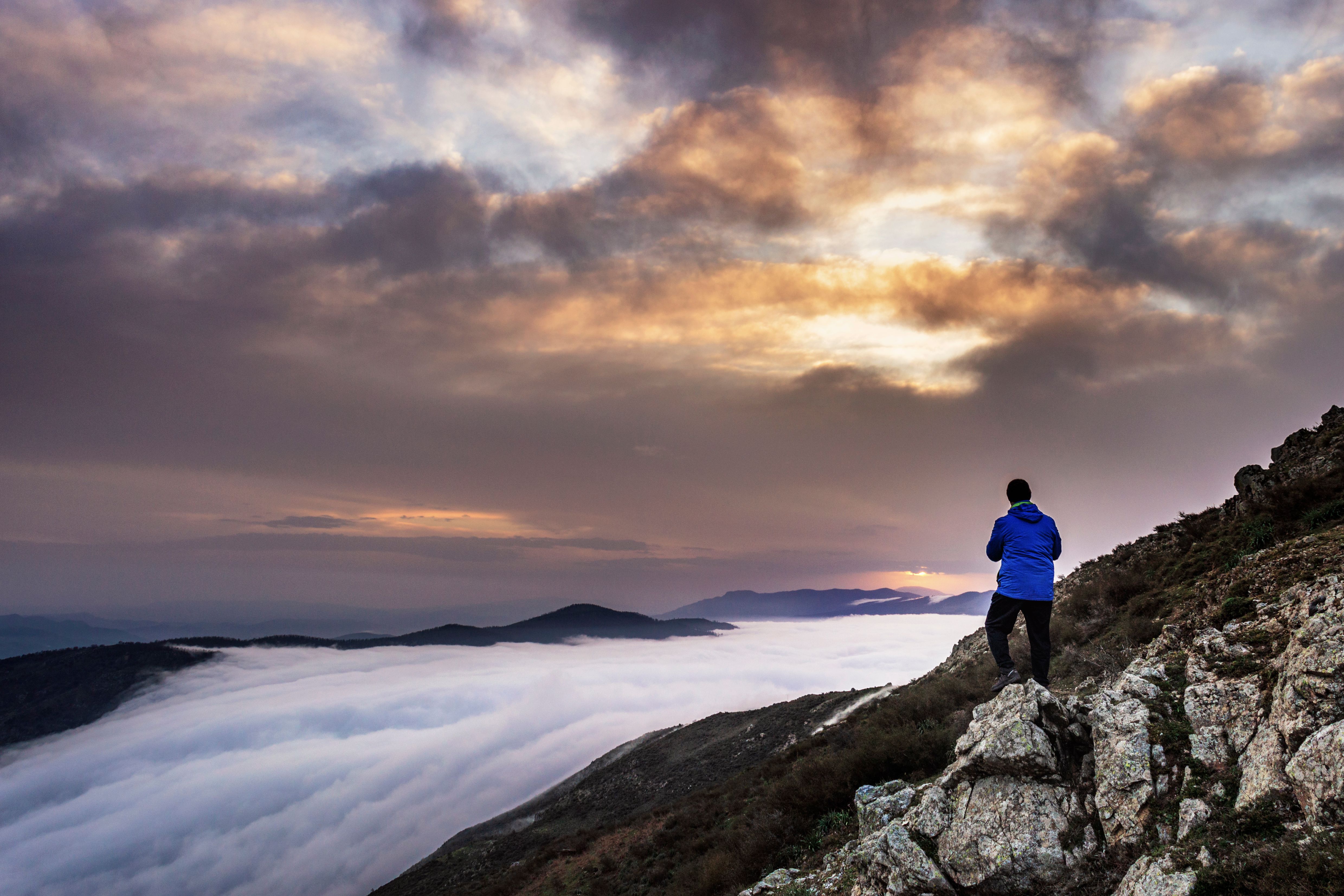 Person Looking at Sea of Clouds · Free Stock Photo