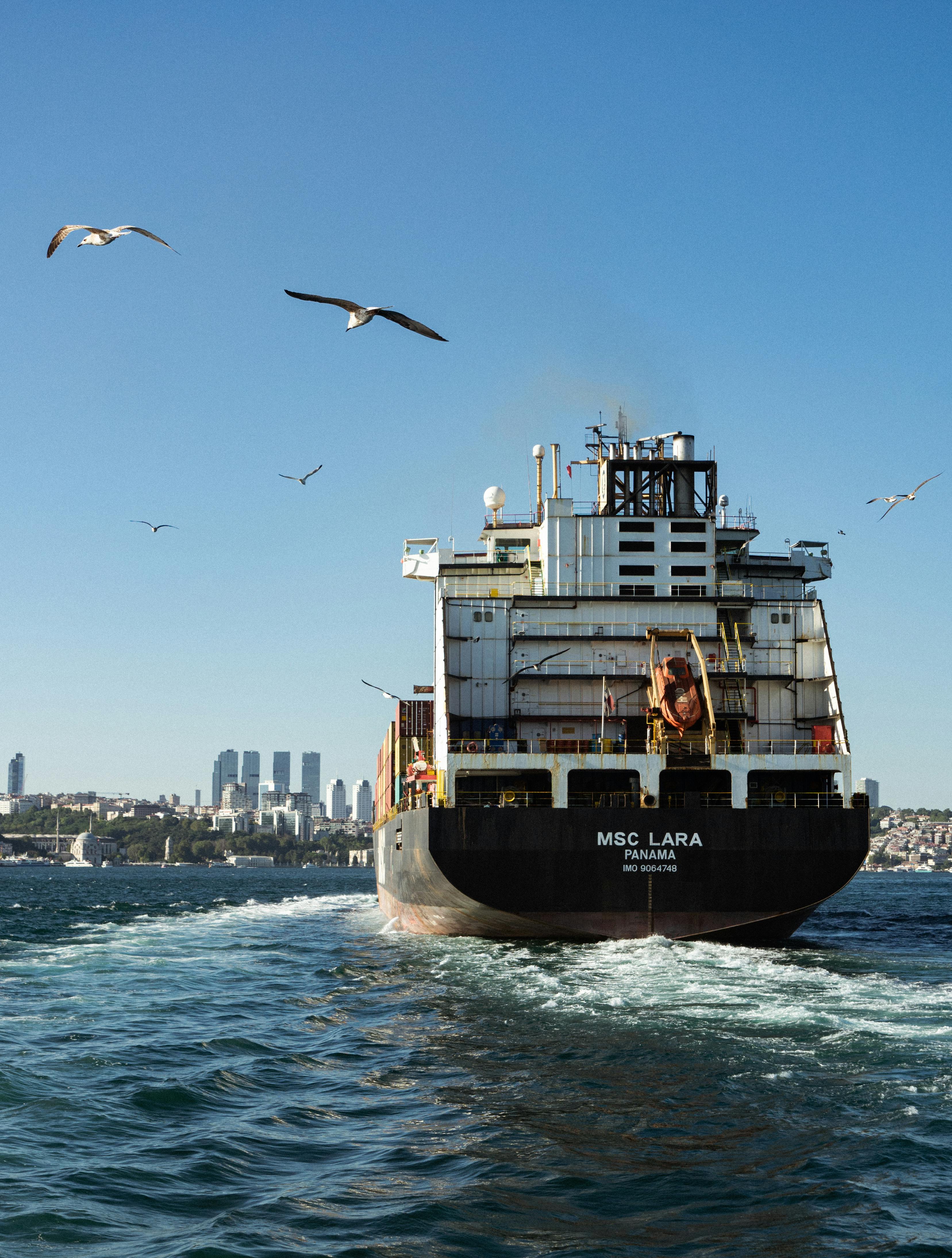 Seagulls Flying near the Ferry Boat · Free Stock Photo