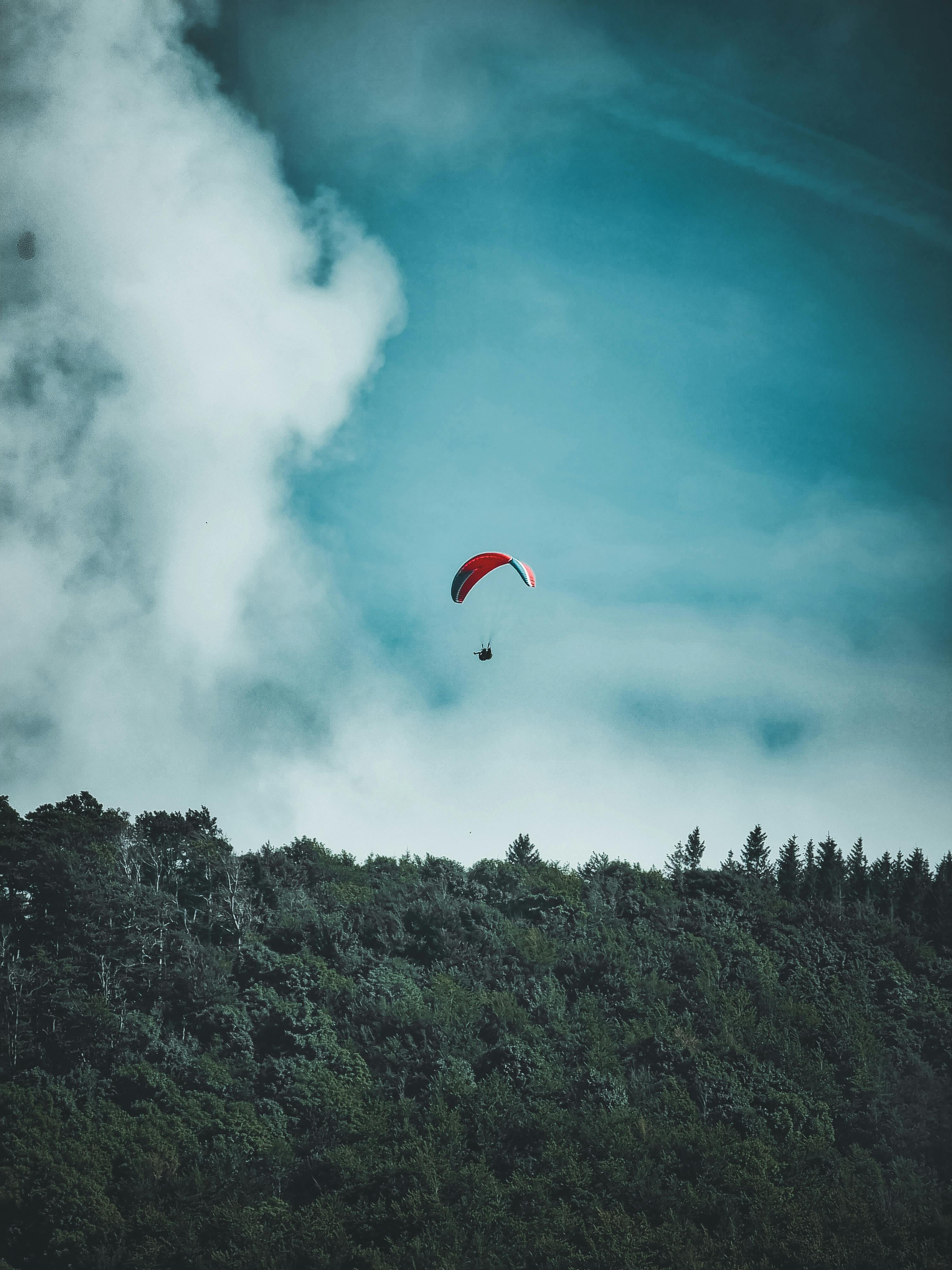 A Person Paragliding over the Forest · Free Stock Photo