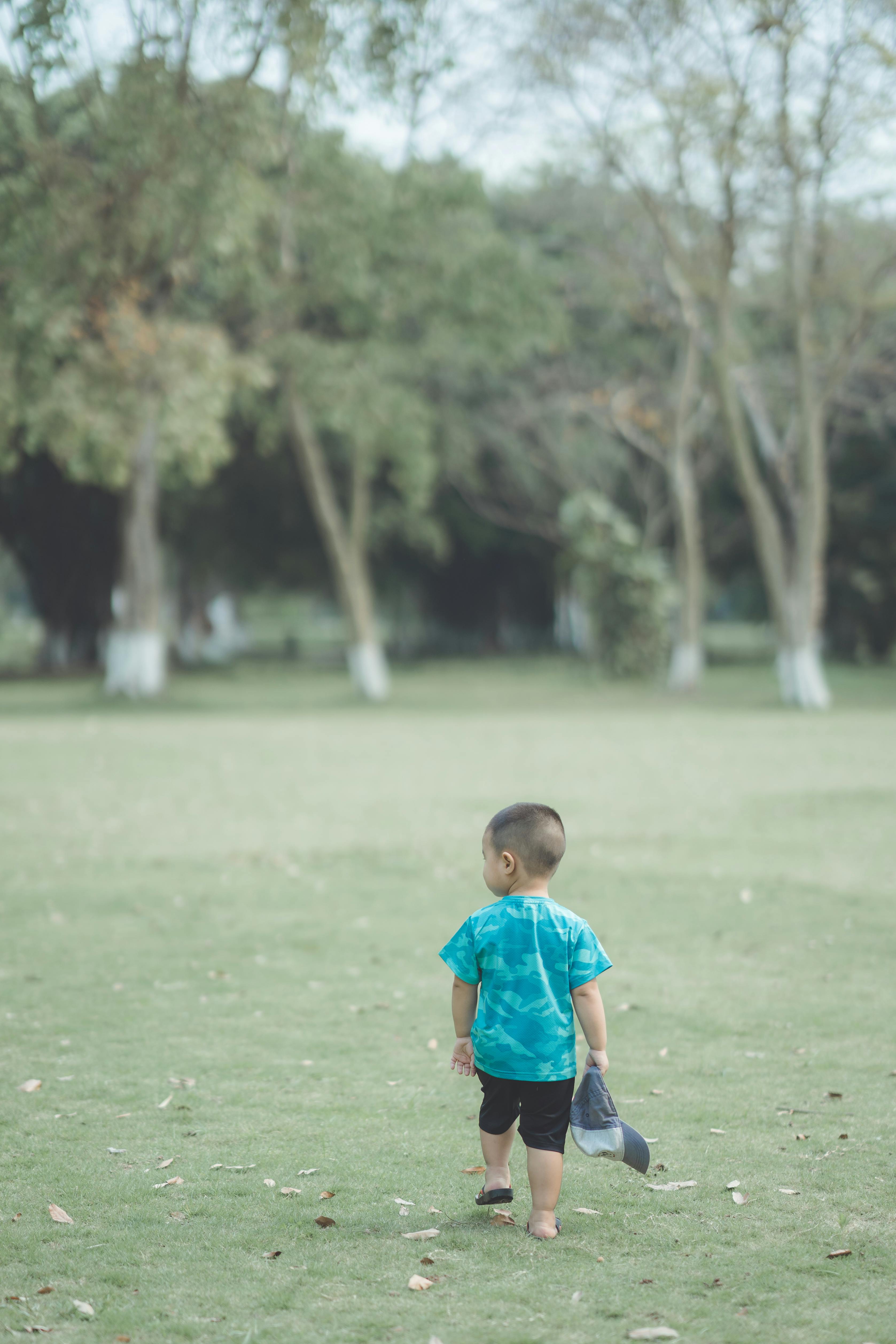 Back View of a Little Boy Walking in the Park · Free Stock Photo