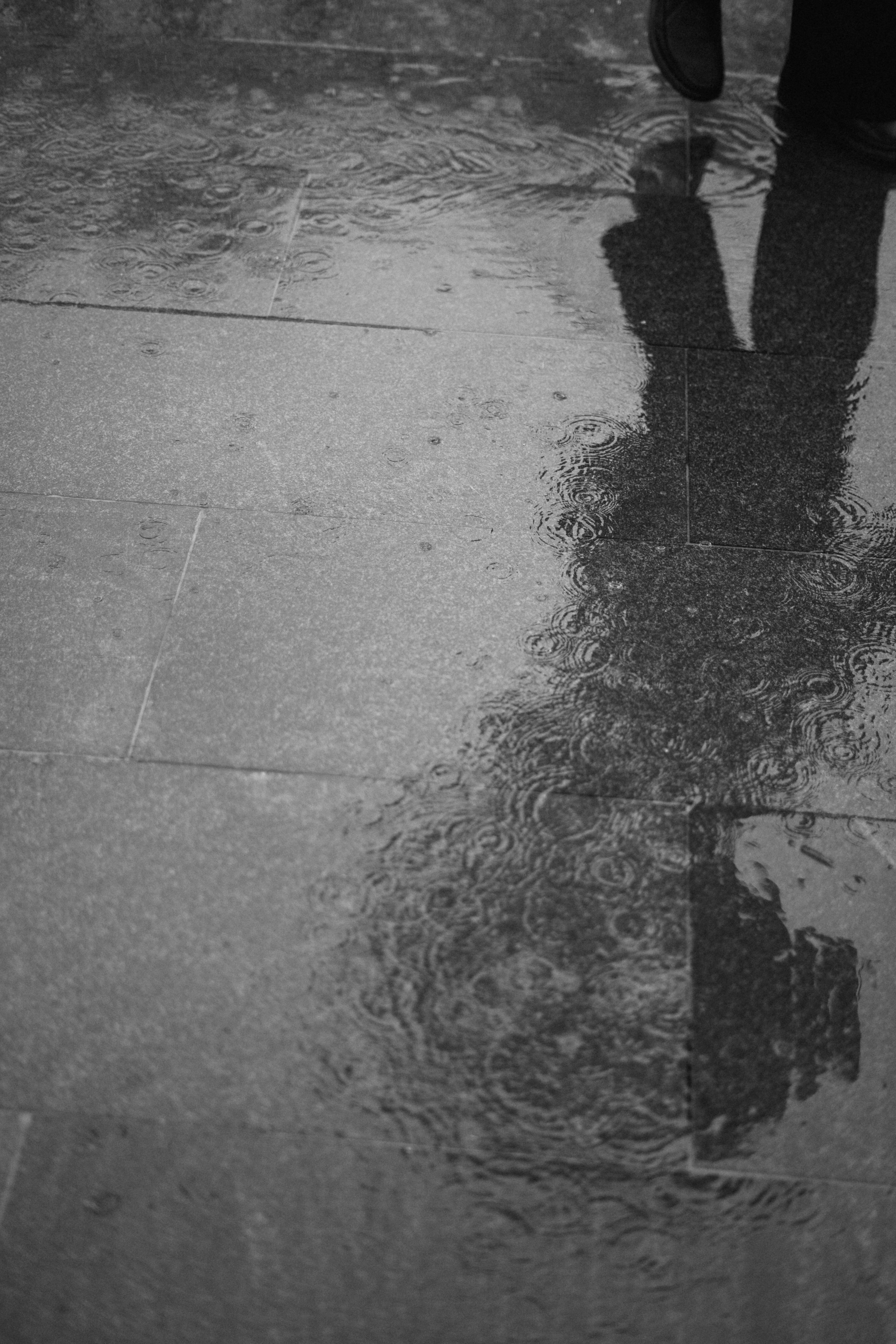 A Grayscale of a Wet Pavement · Free Stock Photo