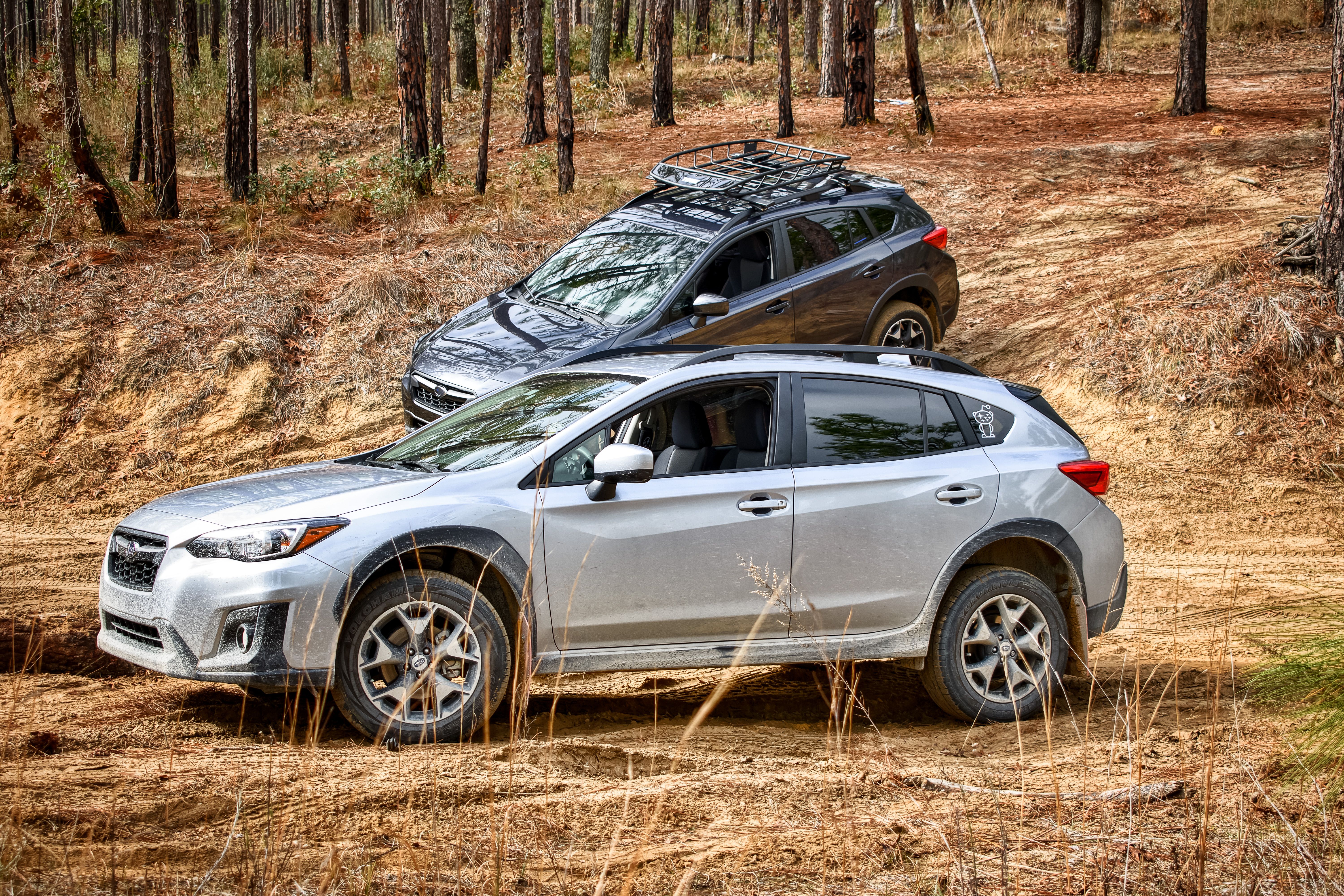 Two Cars on Dry Terrain and Tree Trunks in Background · Free Stock Photo