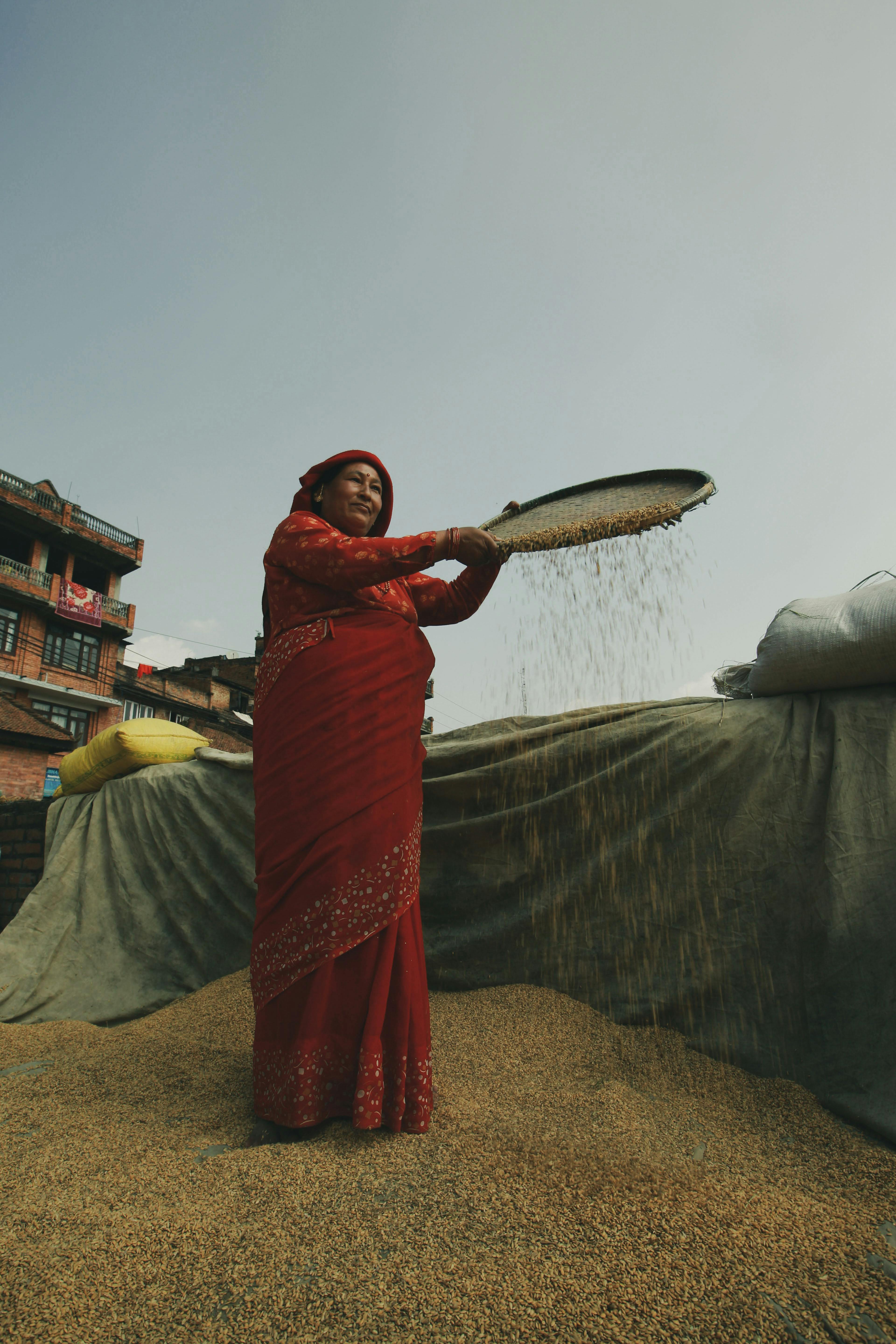 Freeze Drying Process Photos, Download The BEST Free Freeze Drying ...