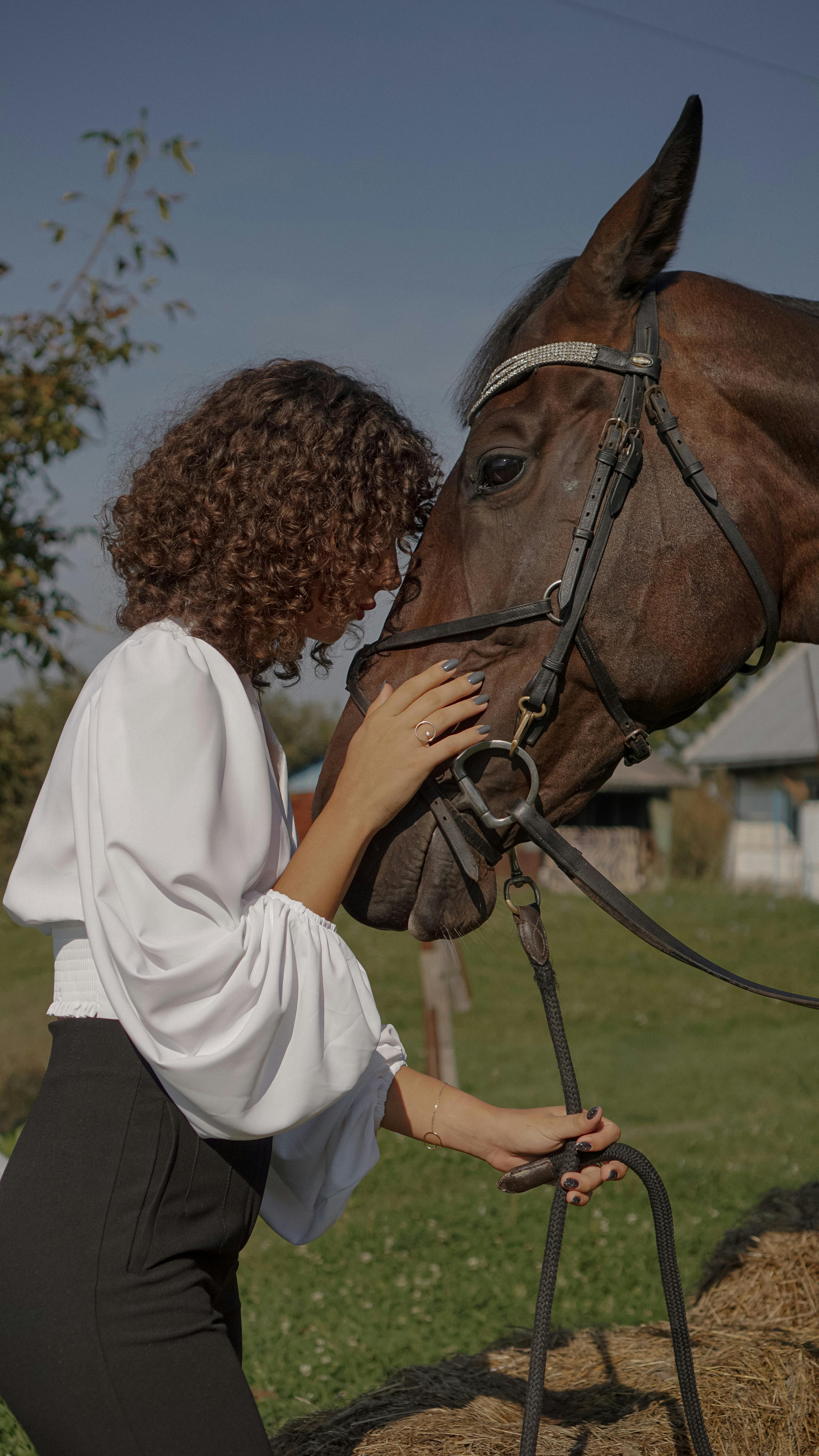 Woman with Horse Connection Outdoors · Free Stock Photo