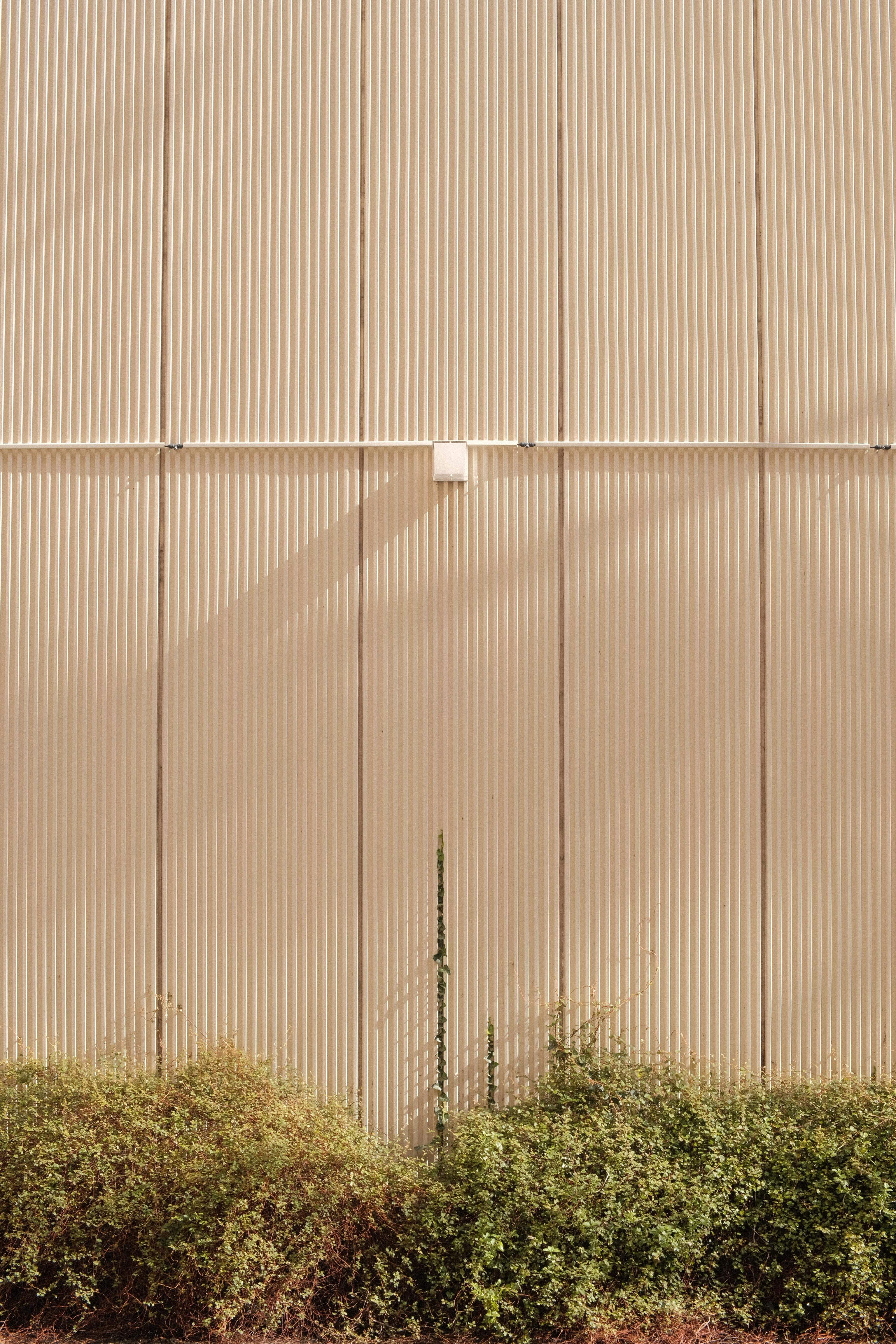 Beige Color of A Building Wall · Free Stock Photo