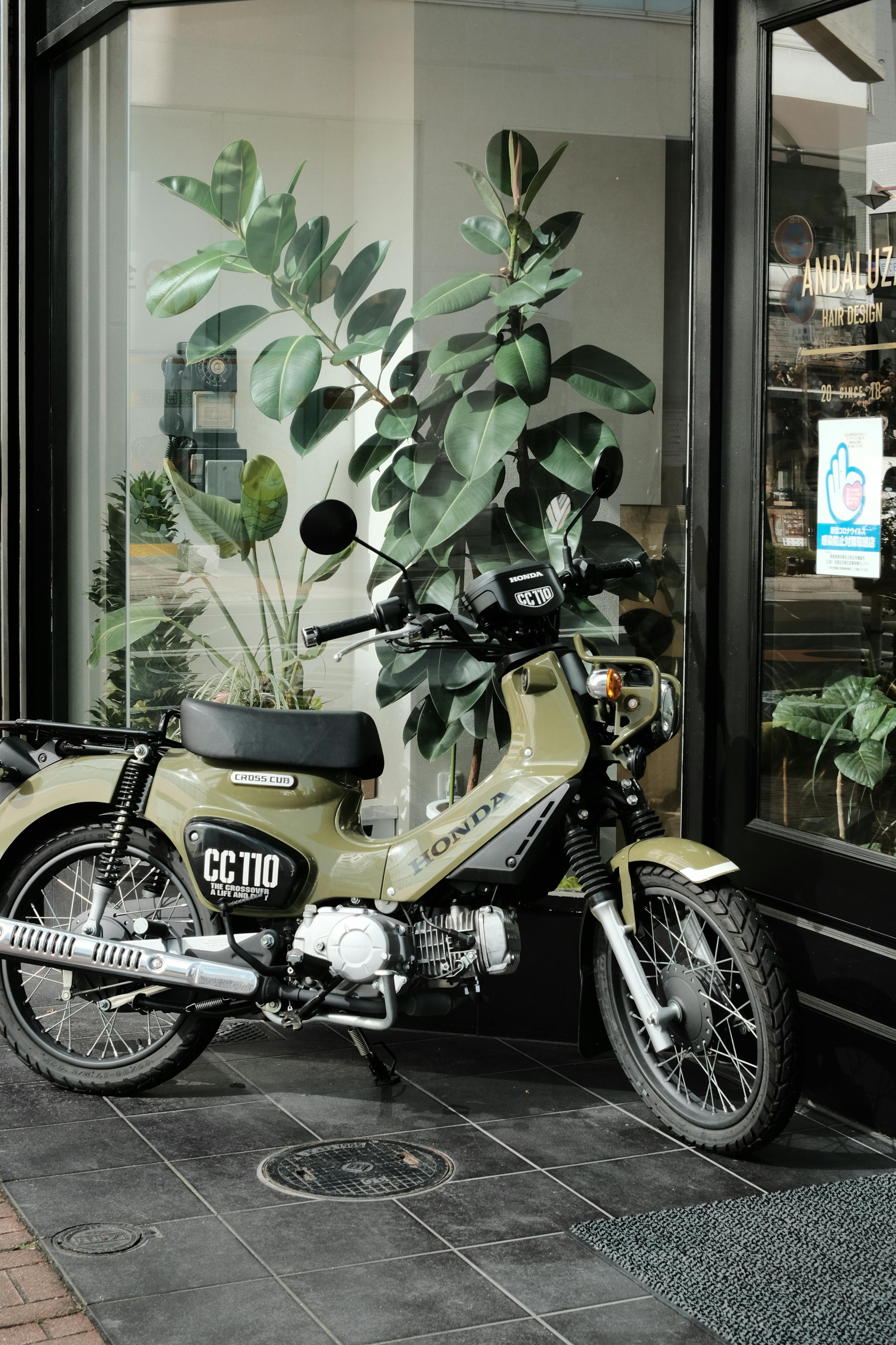 Black Motorcycle in Front of Wall Covered in Vines · Free Stock Photo