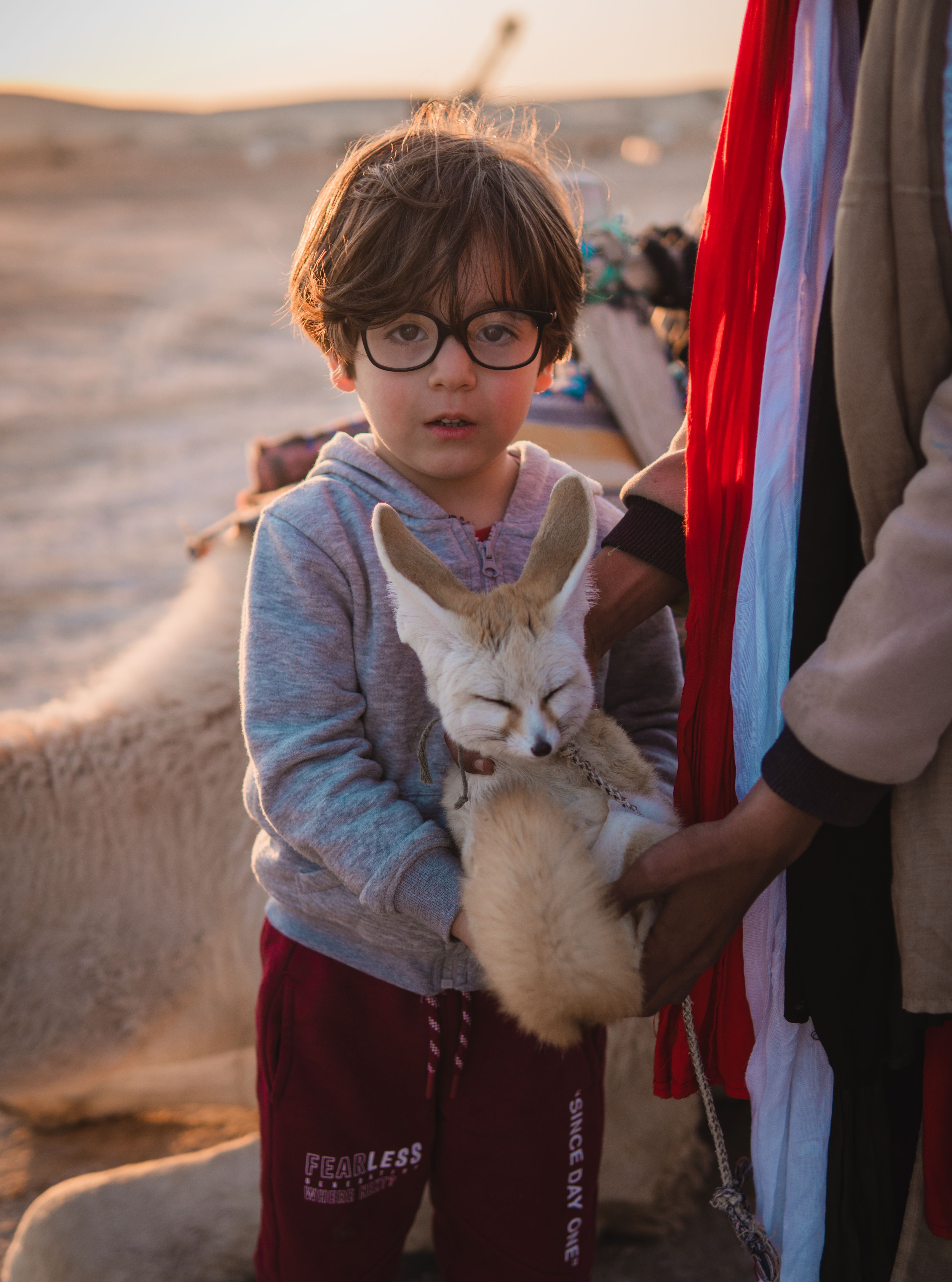 Boy with Cute Fluffy Fox · Free Stock Photo