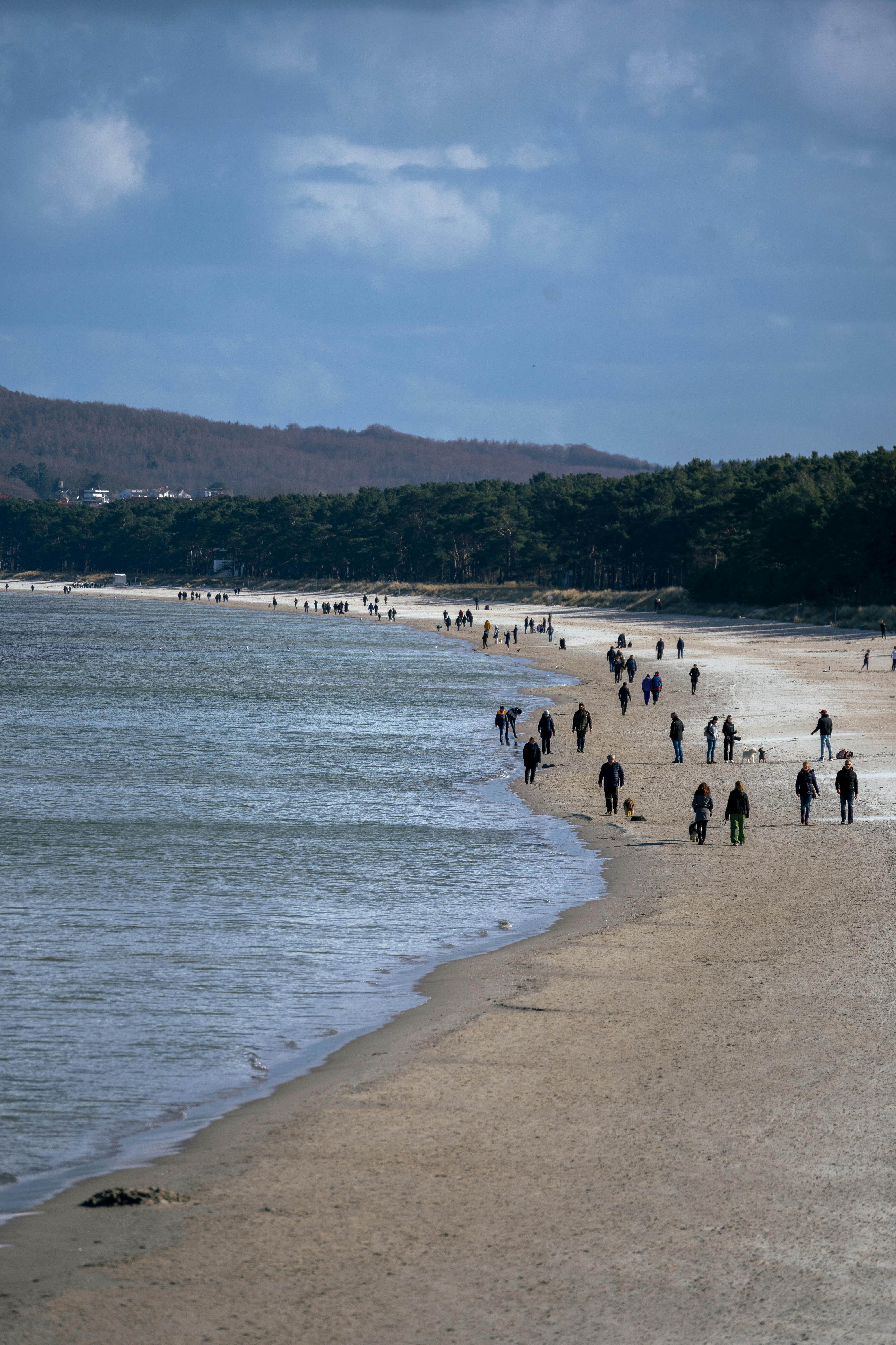 An Aerial Photography of People Walking on the Beach · Free Stock Photo