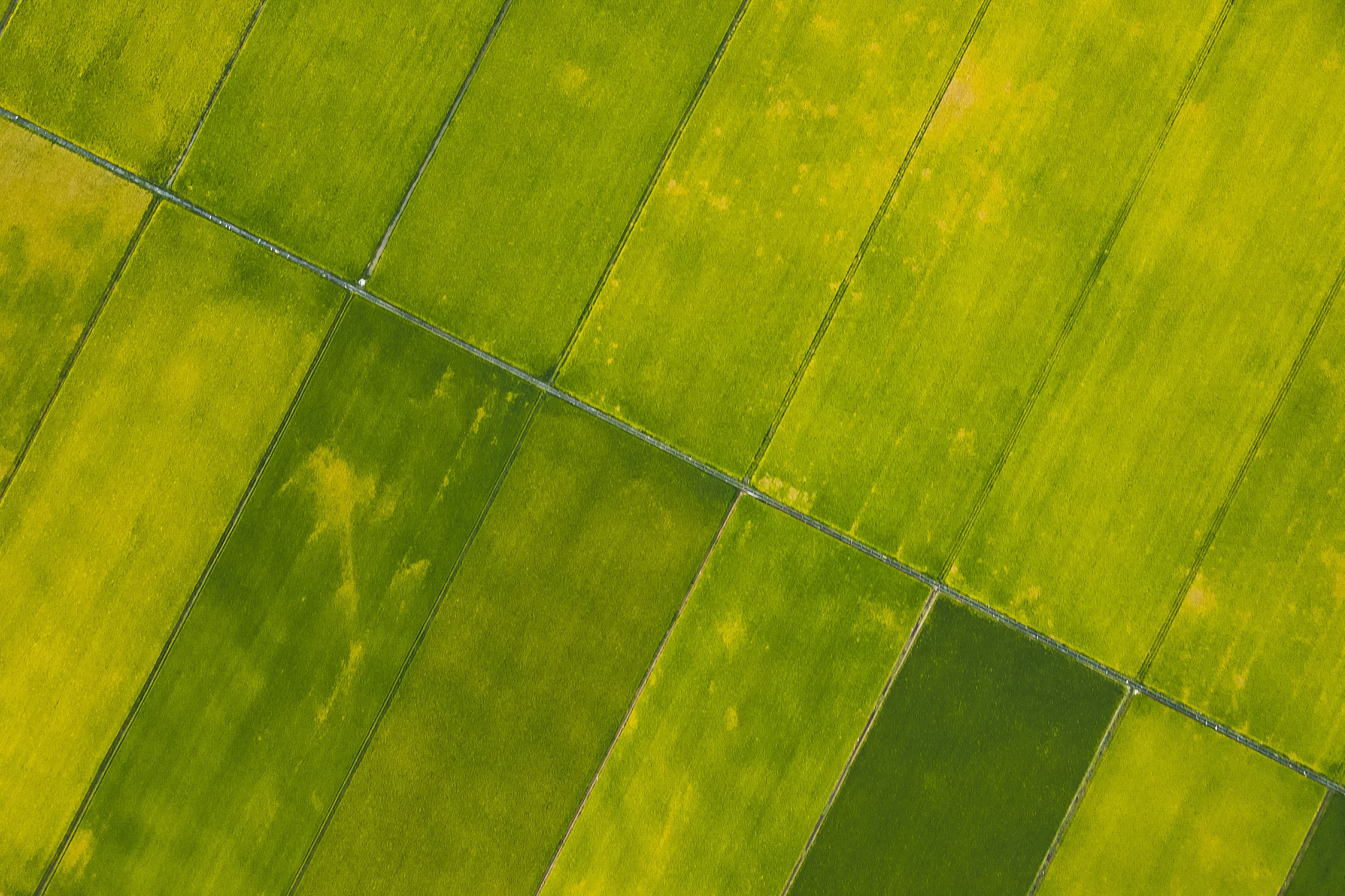 Crop Division Photos, Download The BEST Free Crop Division Stock Photos ...