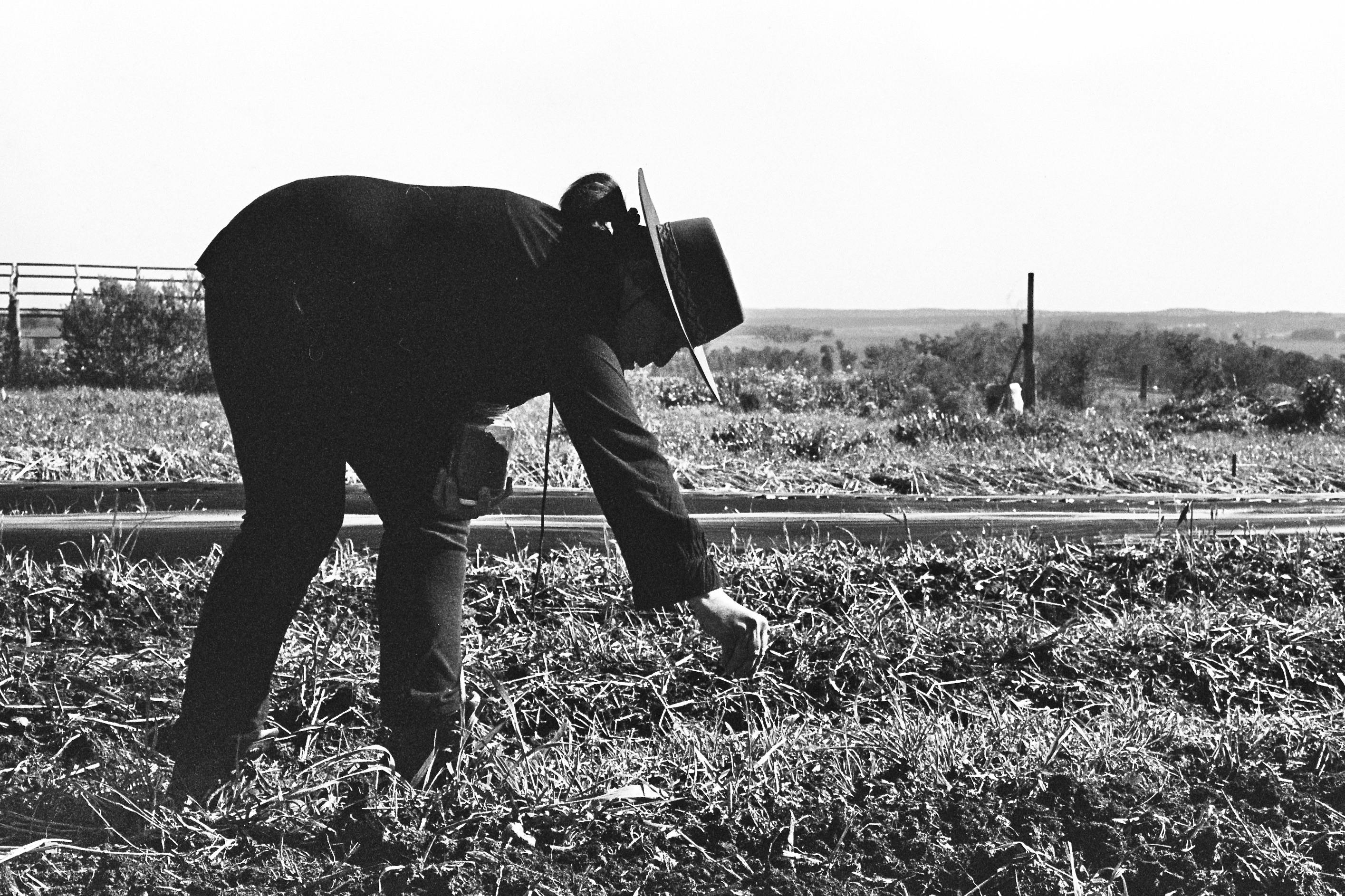 Grayscale Photo of a Person Picking Up Grass · Free Stock Photo