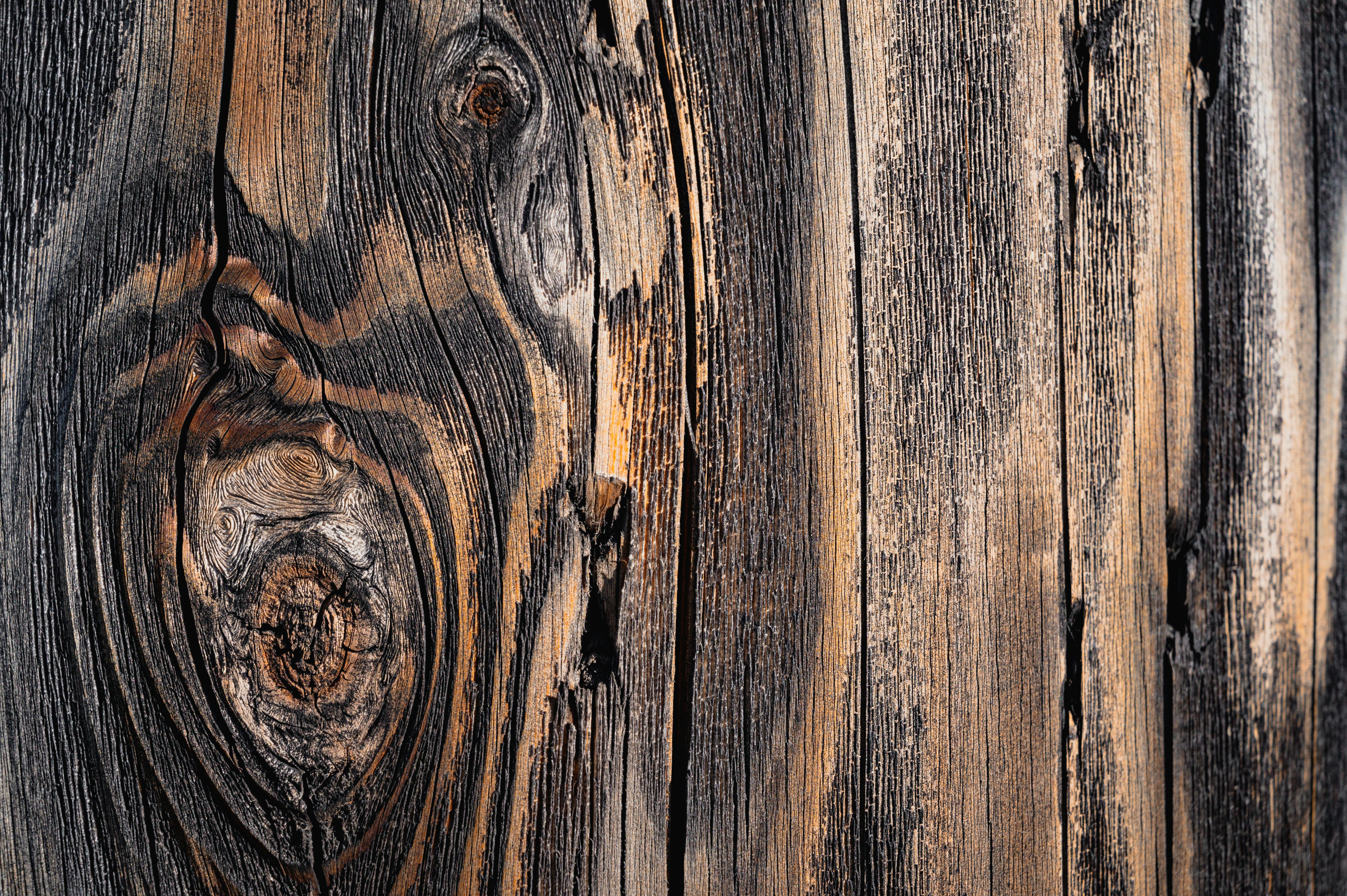 Close-up of Wooden Surface Structure · Free Stock Photo