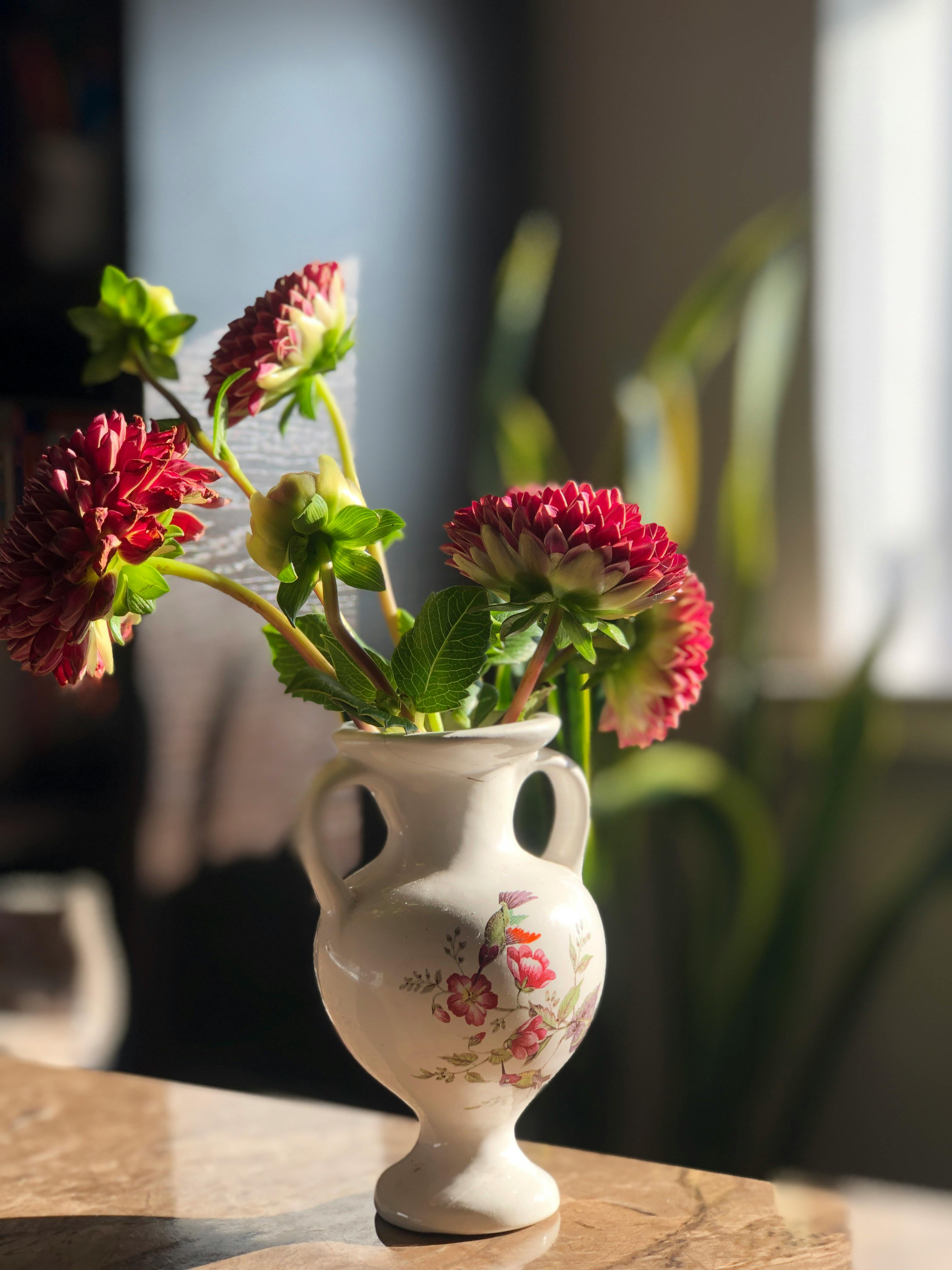 Flowers in a Ceramic Vase · Free Stock Photo