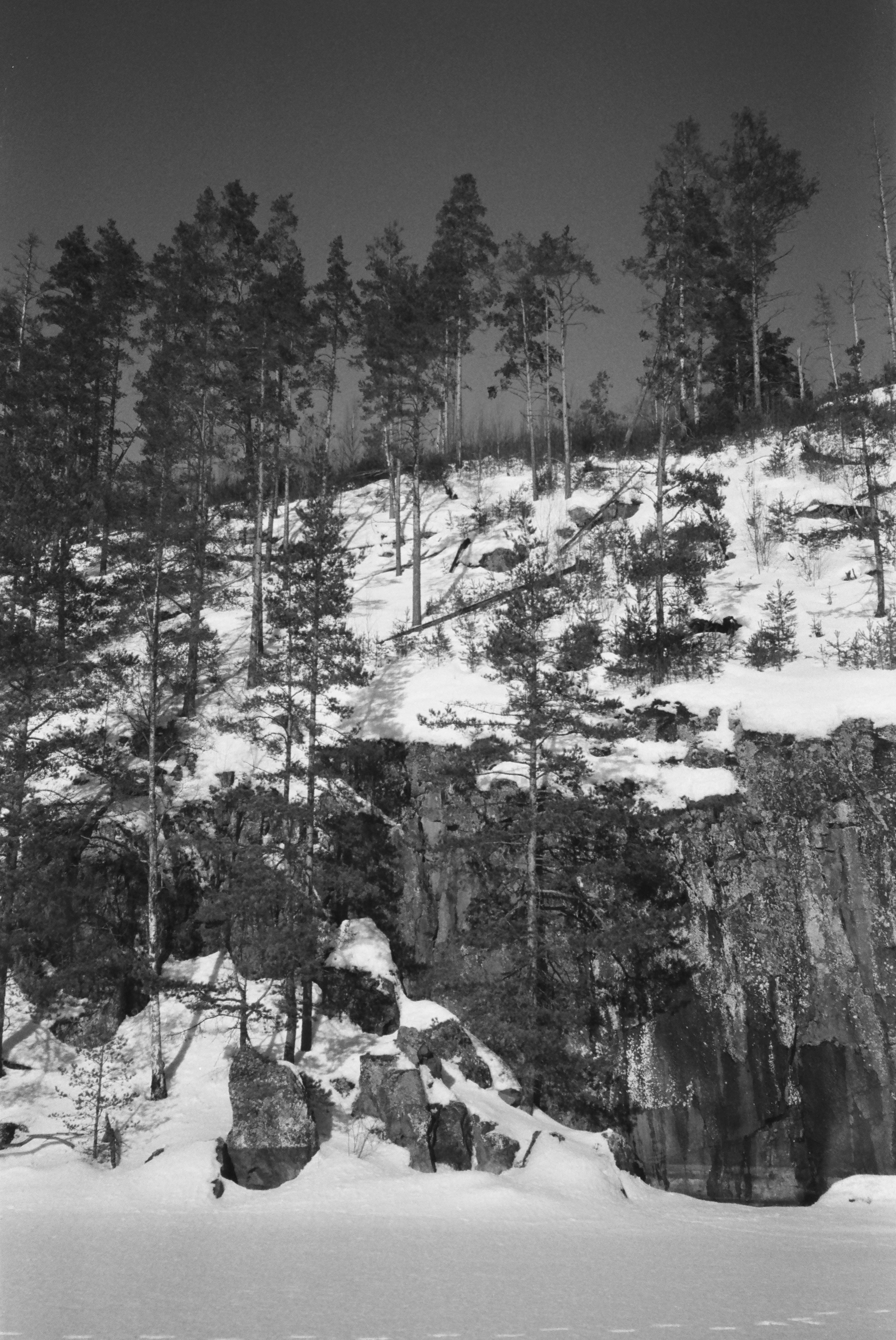 Mountain Shot in Black and White · Free Stock Photo