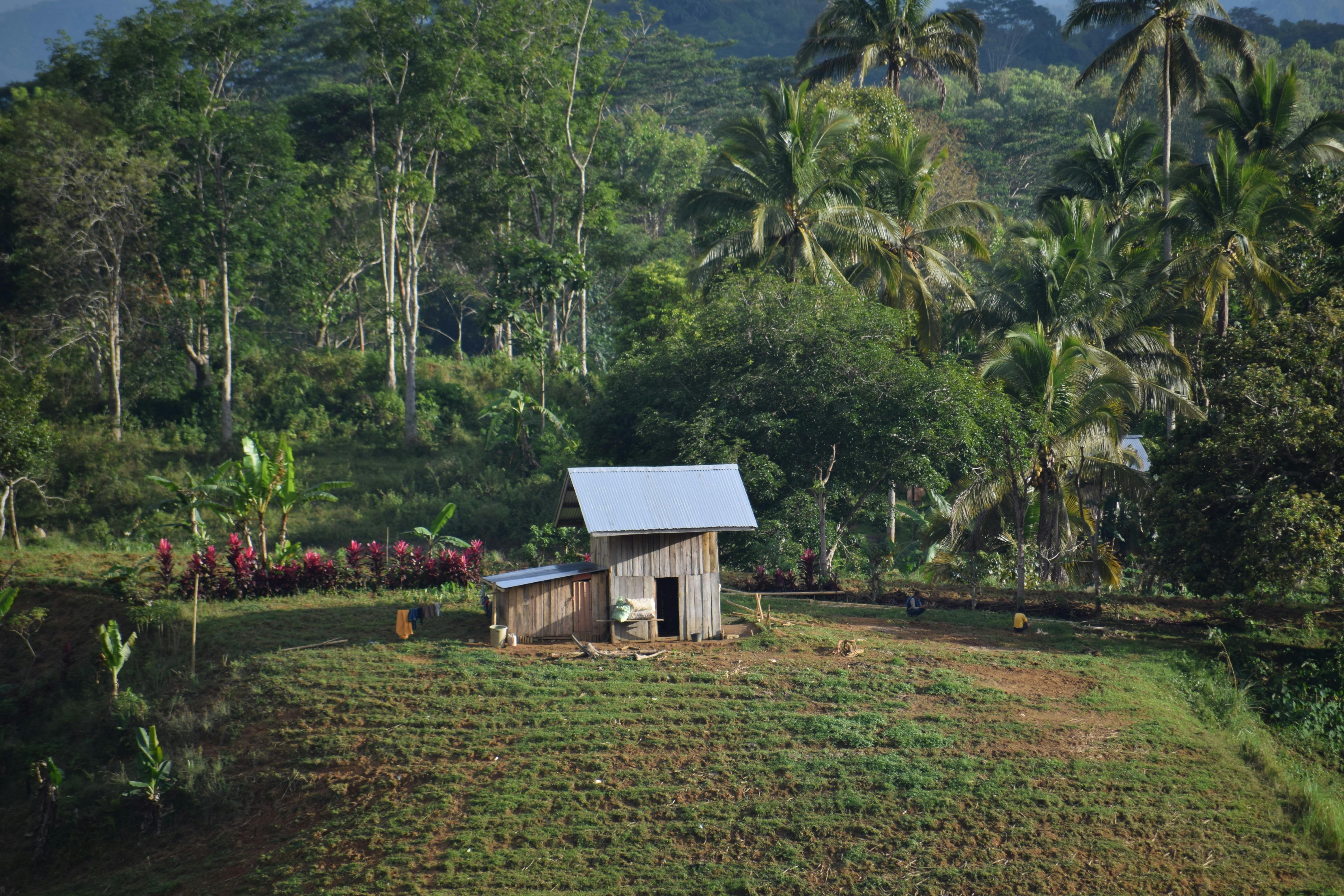 Farm House in the Farm Field · Free Stock Photo