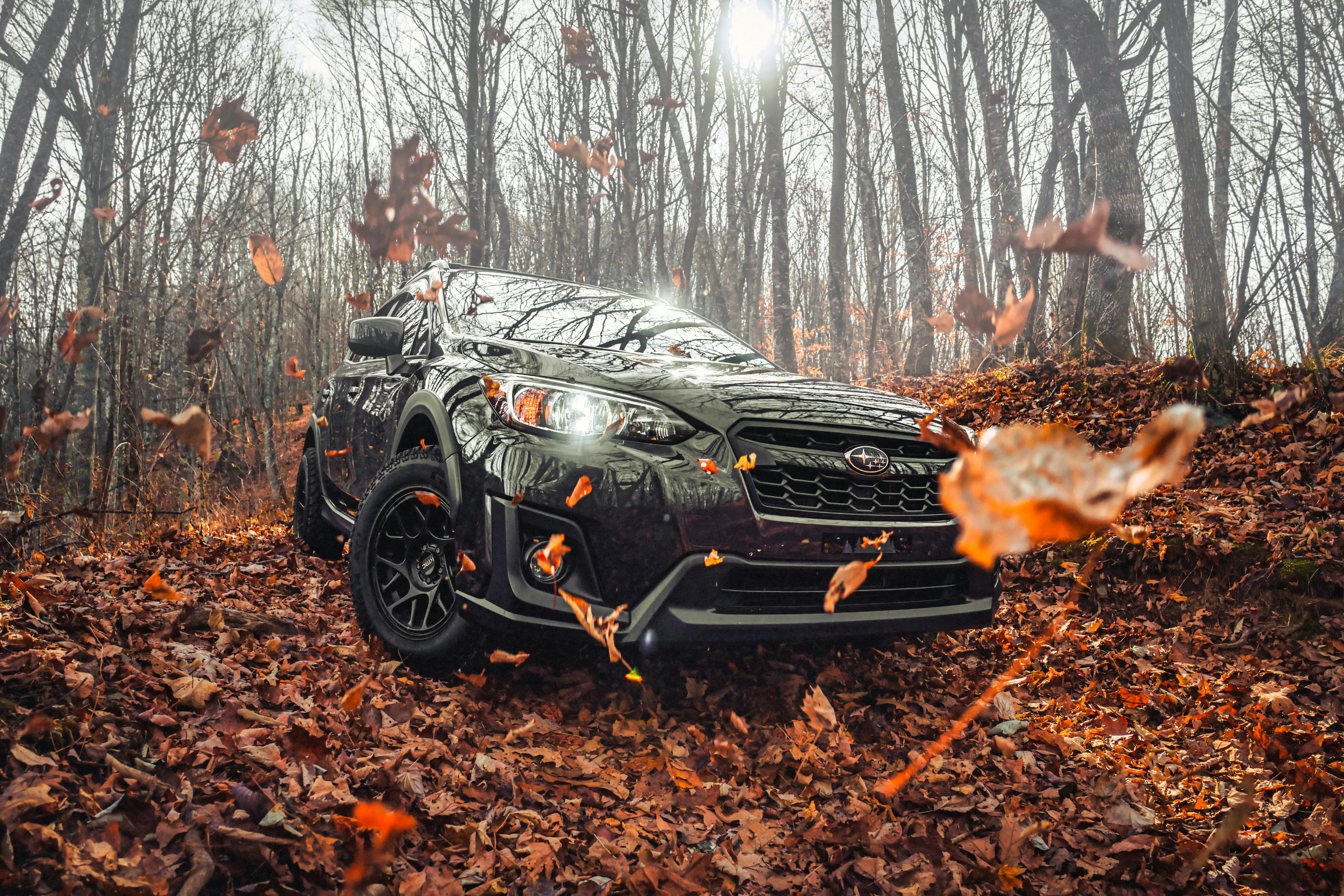 A Black Car in a Forest Filled with Dry Leaves Near Trees · Free Stock ...