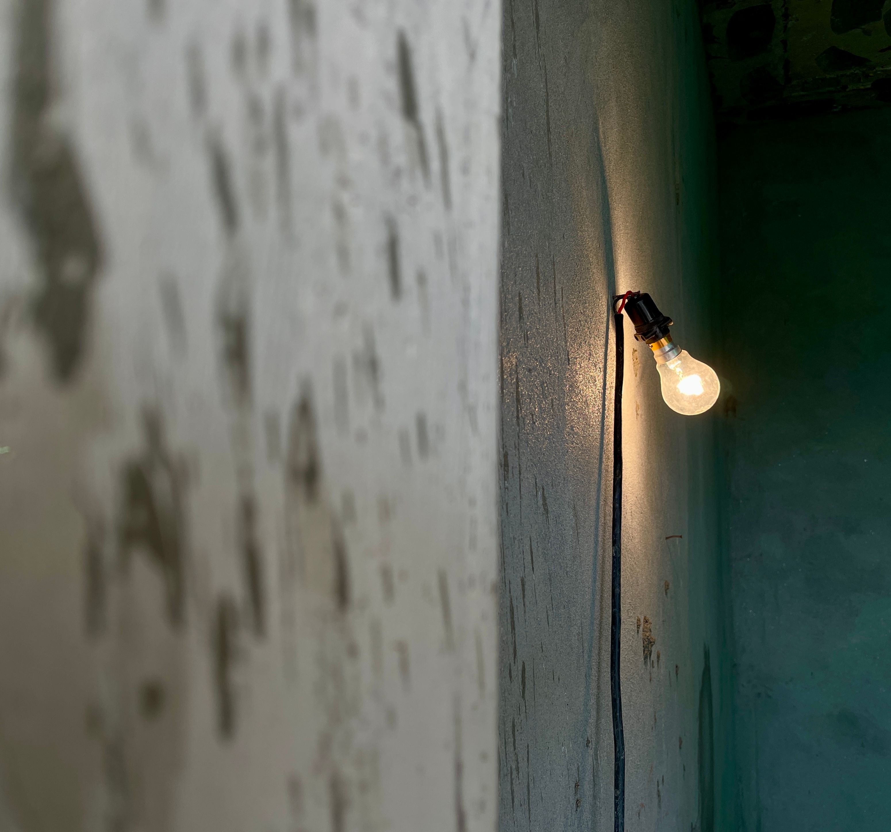 Bulb Mounted on a Wall · Free Stock Photo