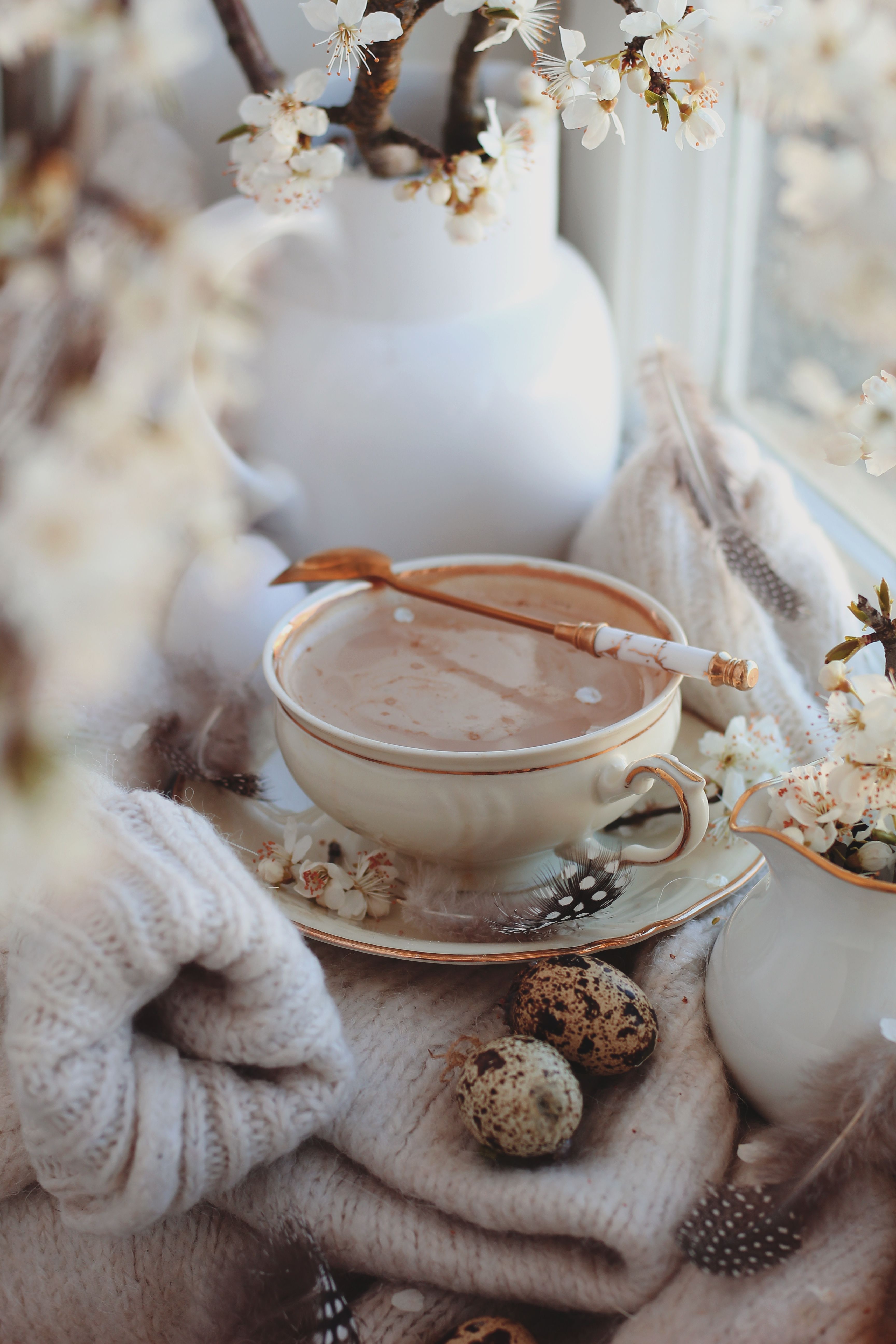 Food in Pot and Decorations around · Free Stock Photo
