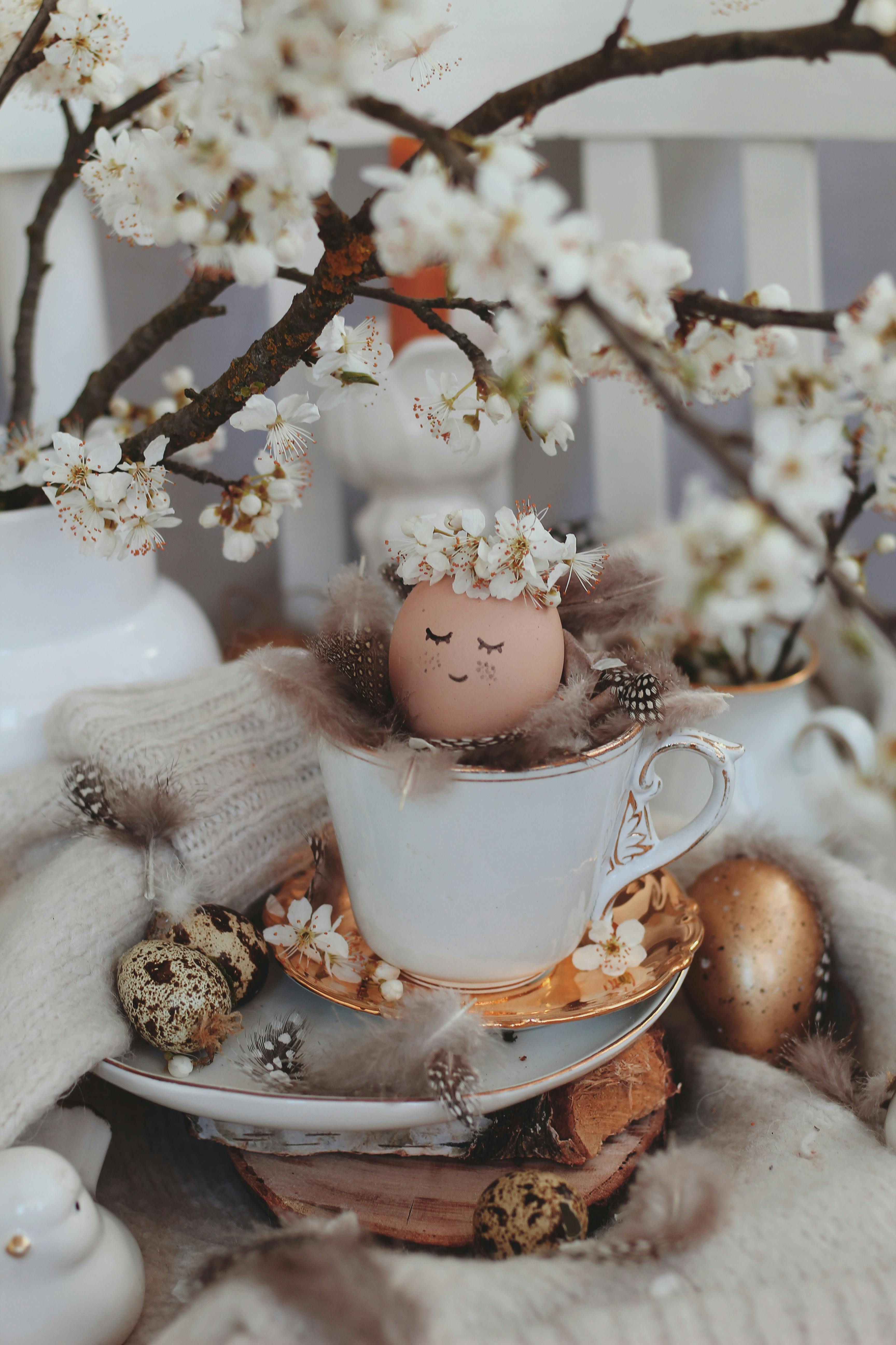 Eater Photos, Download The BEST Free Eater Stock Photos & HD Images