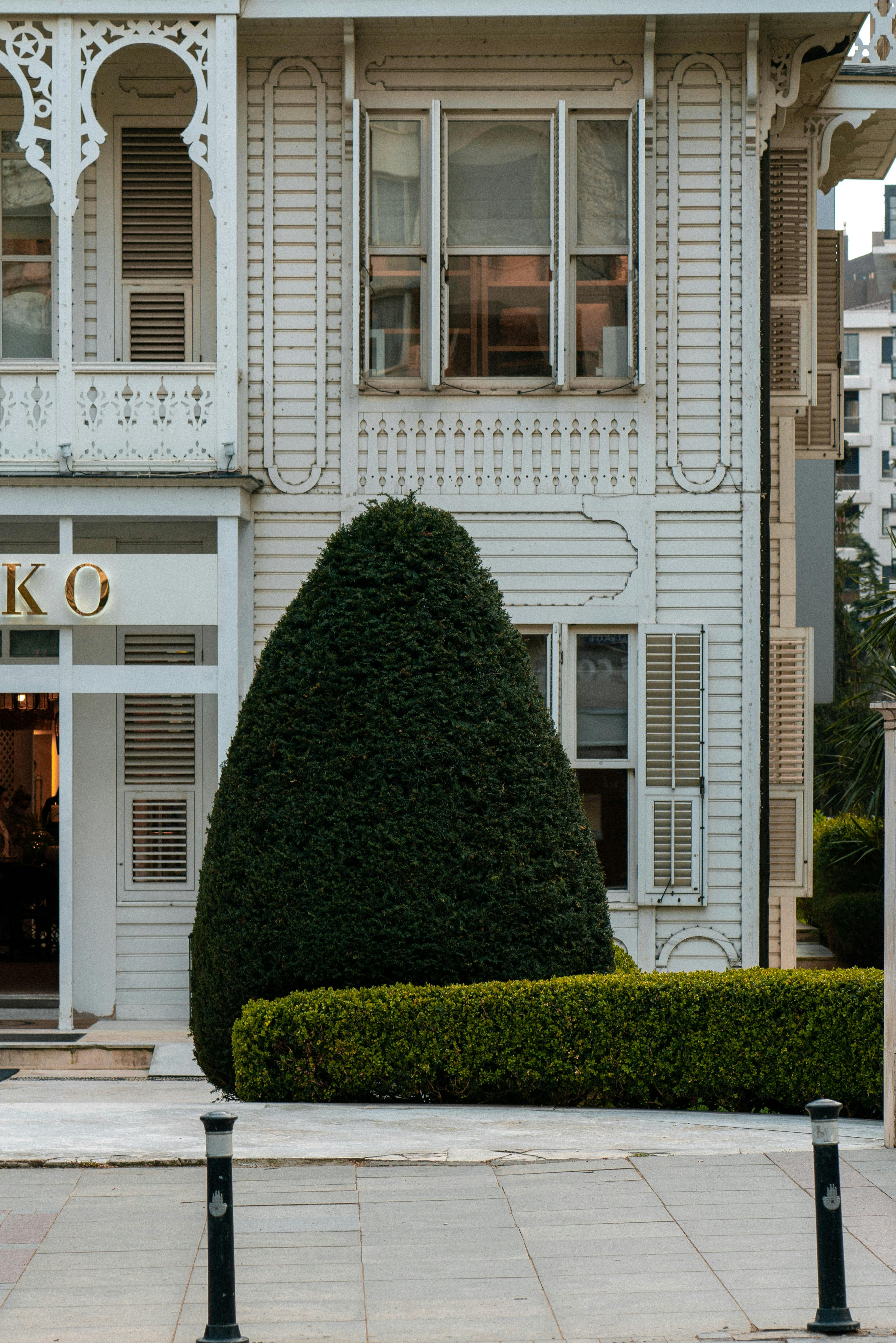 Green Bush In Front of a Building · Free Stock Photo