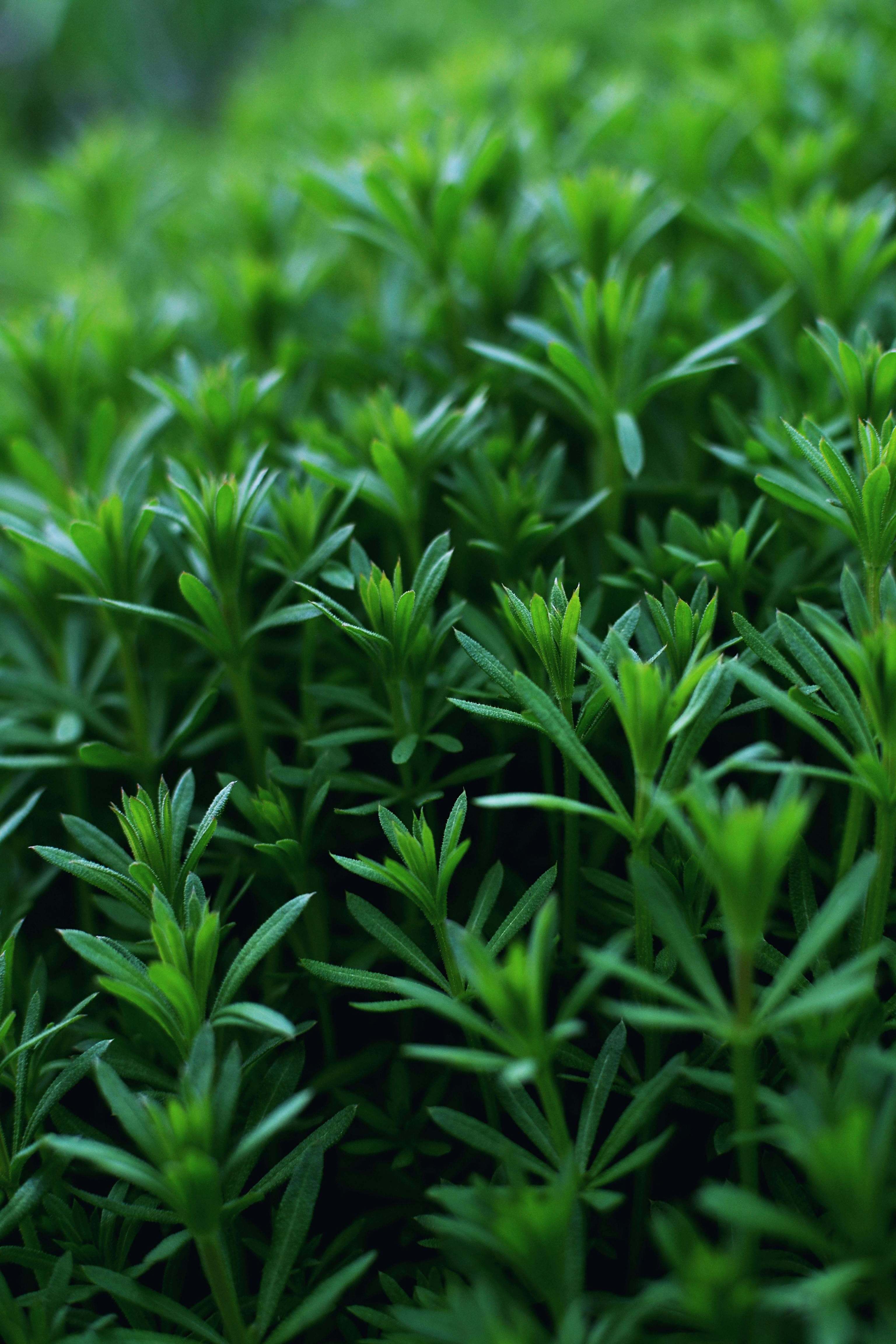 Cliver Photos, Download The BEST Free Cliver Stock Photos & HD Images