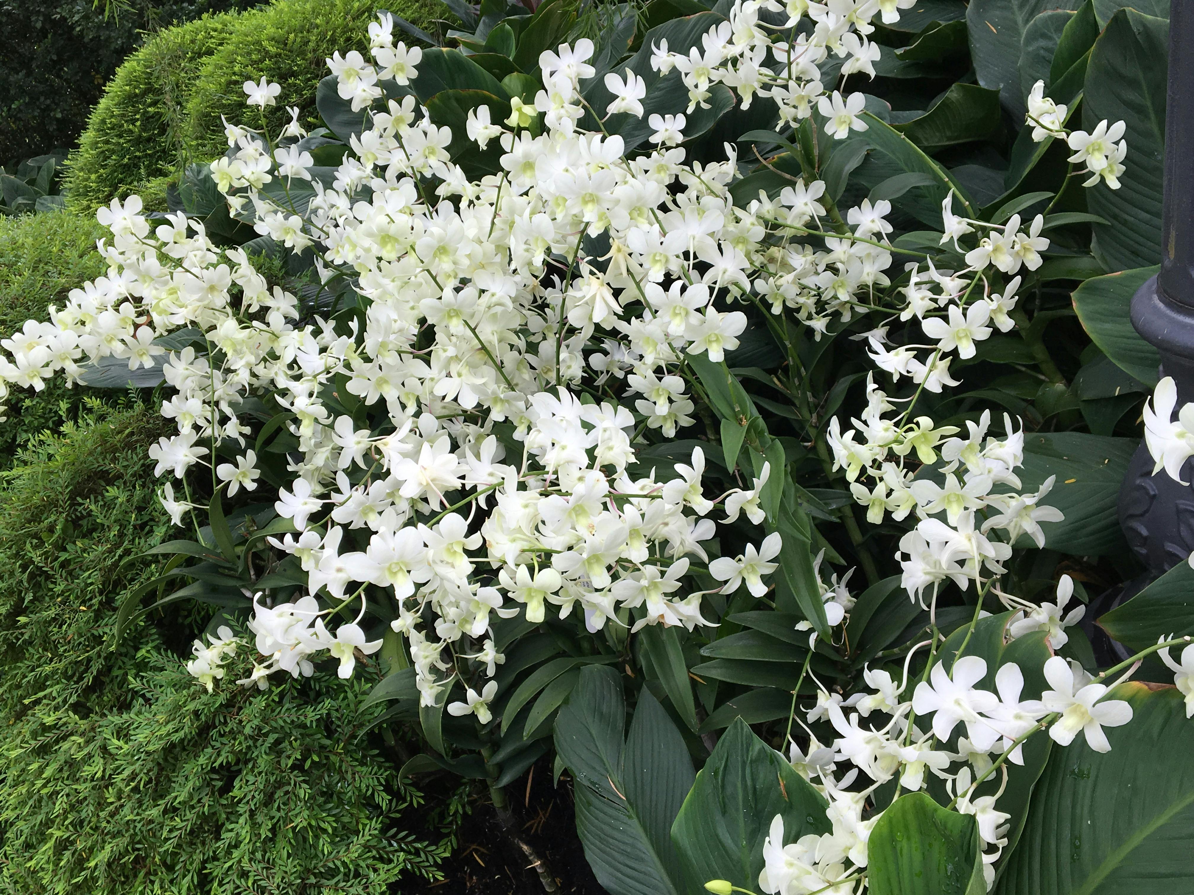 Vathana Narith · Photography