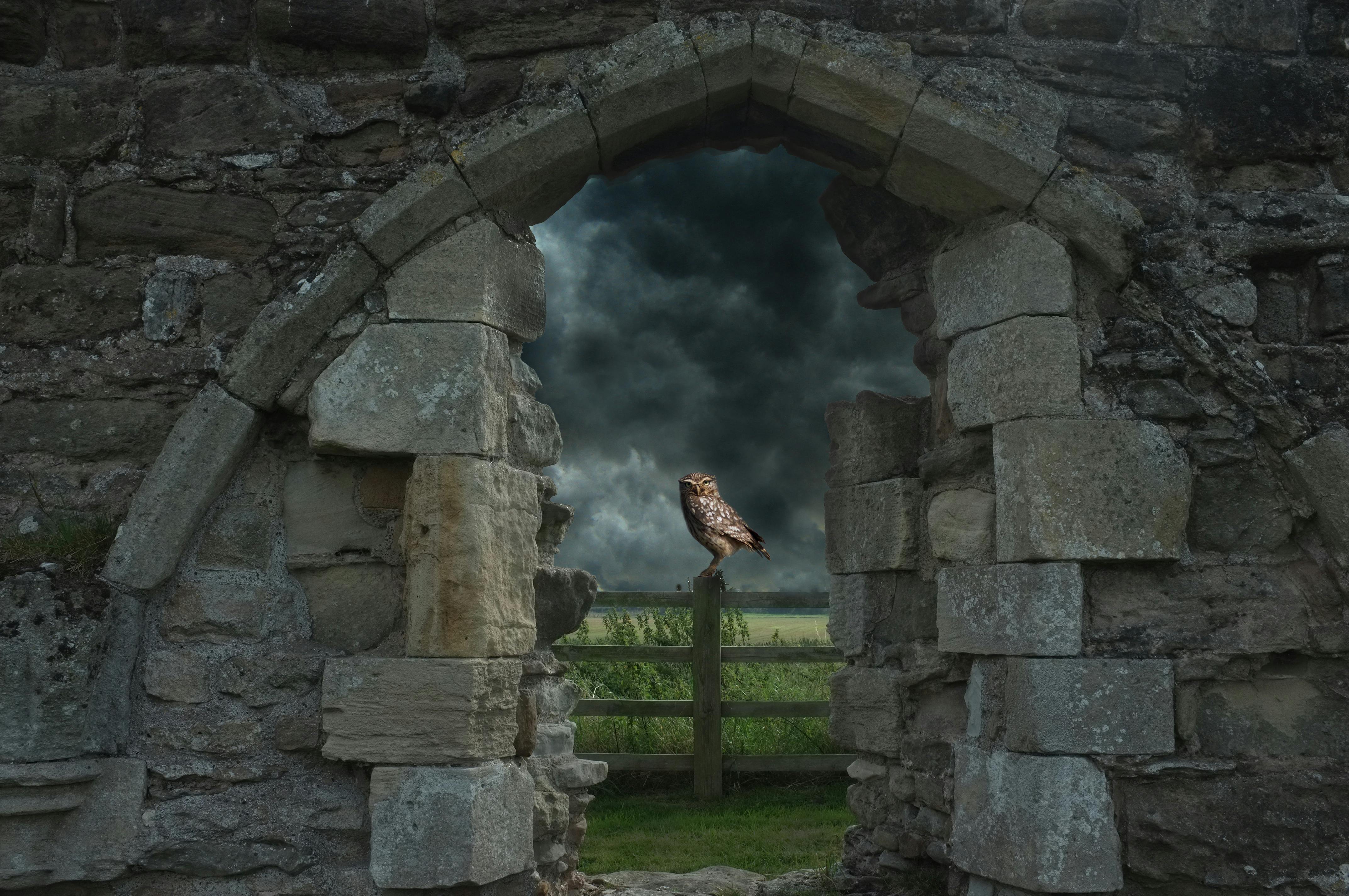 Wildlife 7 Photos & Videos Collected by Emma Benitez