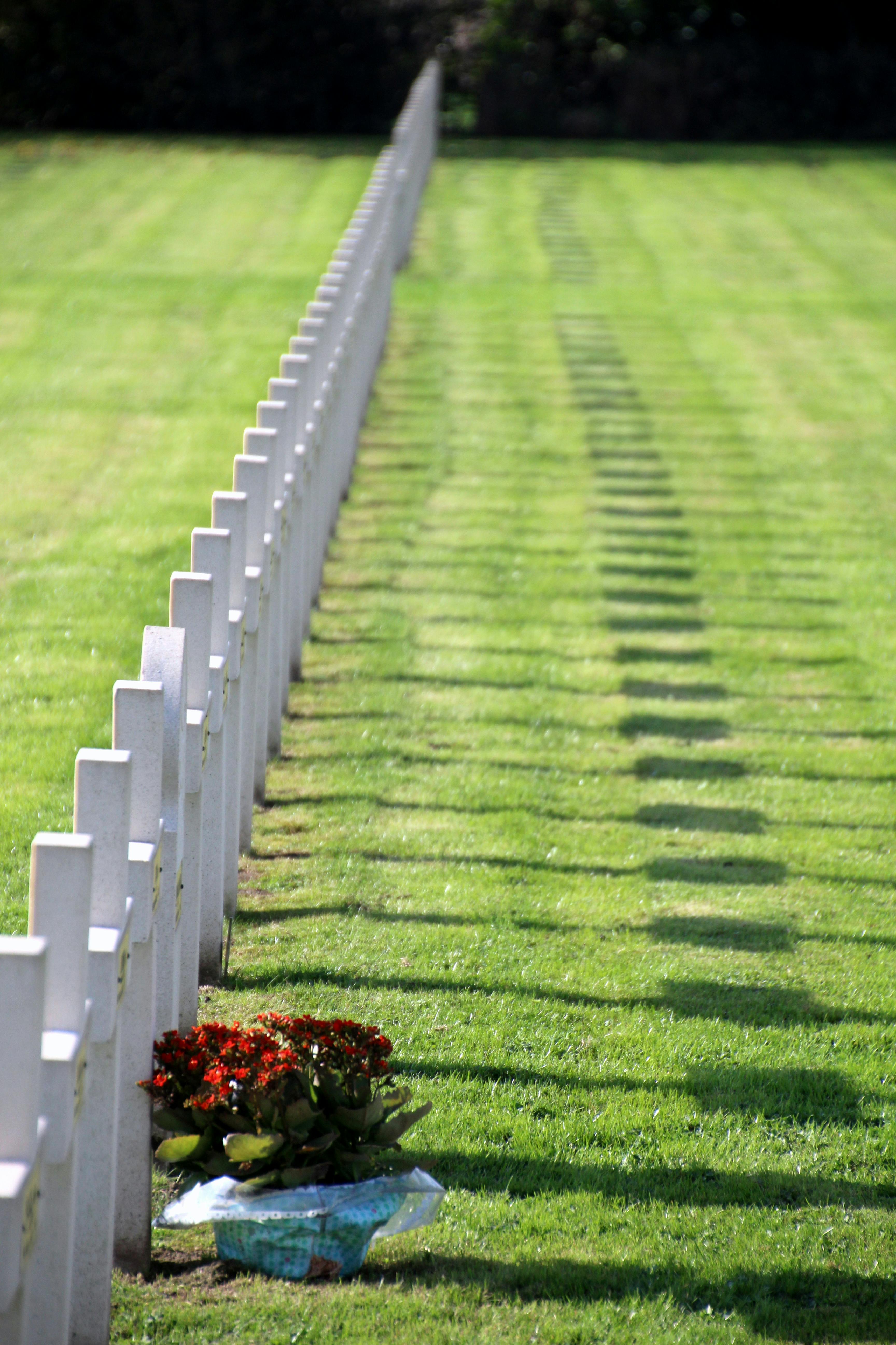 Grave Yard Photos, Download The BEST Free Grave Yard Stock Photos & HD ...