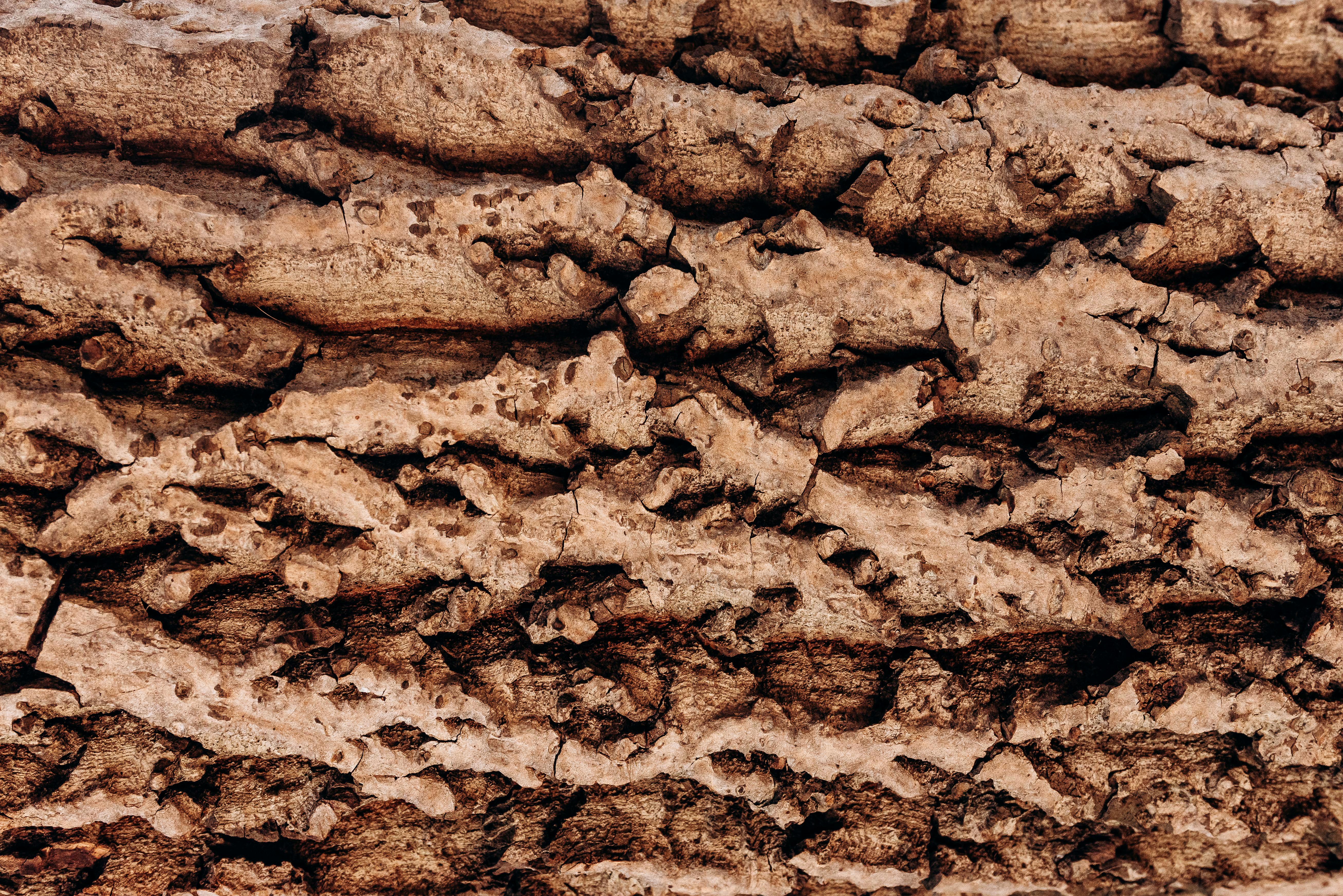 Close-up of a Rough Surface of Dry Earth Structure · Free Stock Photo