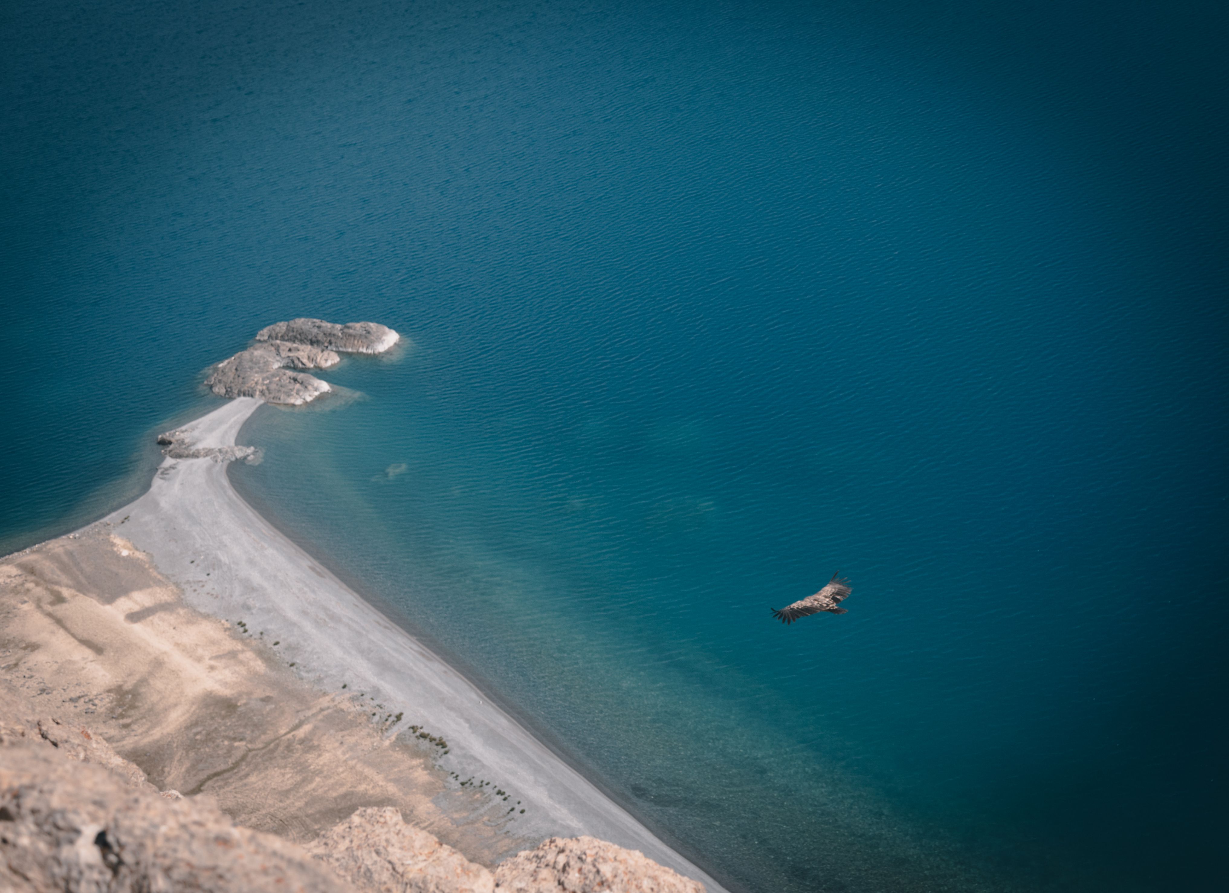 Aerial View of Body of Water · Free Stock Photo