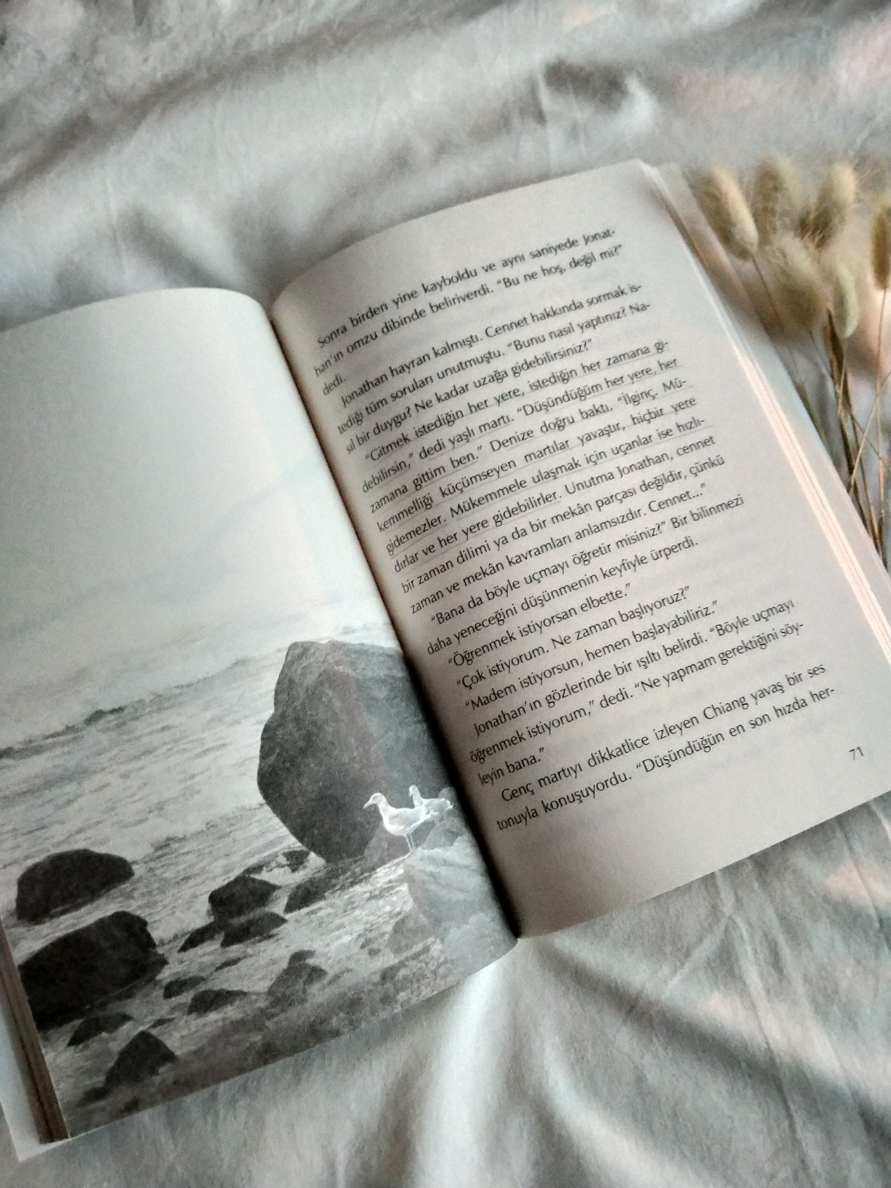 155 Book Page · Free Stock Photo