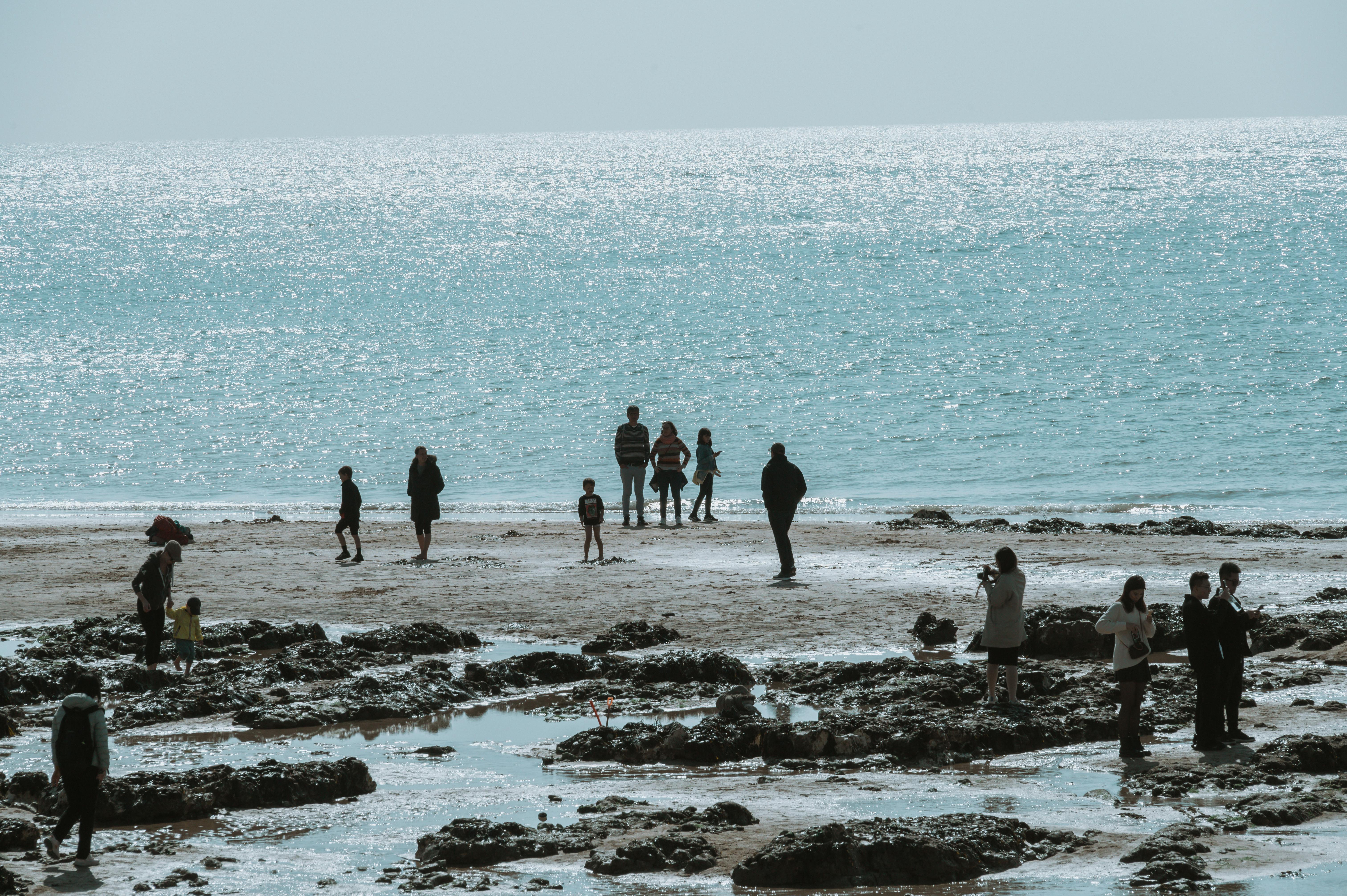 Wide Sand Beach with Serene People on Holidays · Free Stock Photo