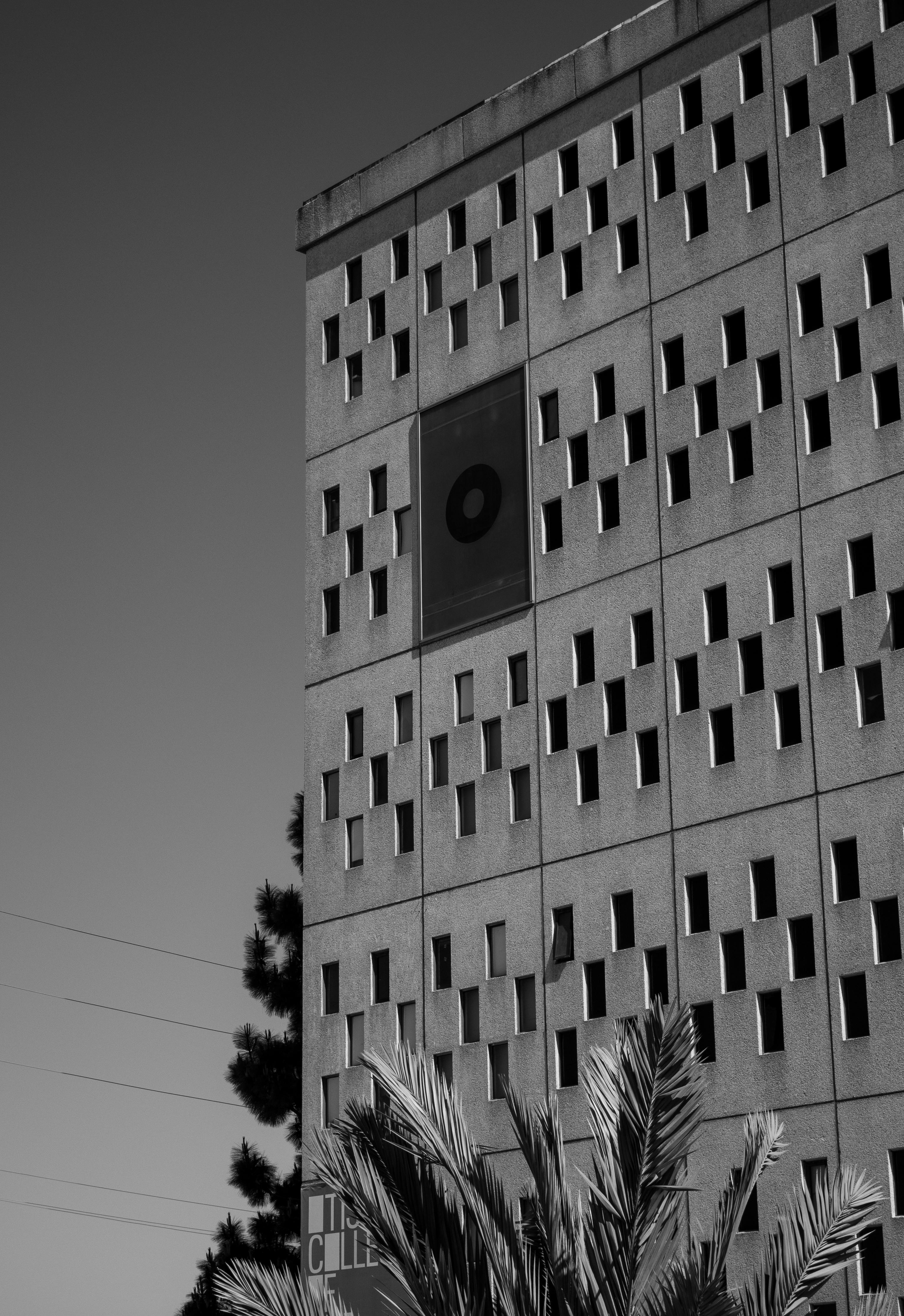 A Grayscale of a Concrete Building · Free Stock Photo