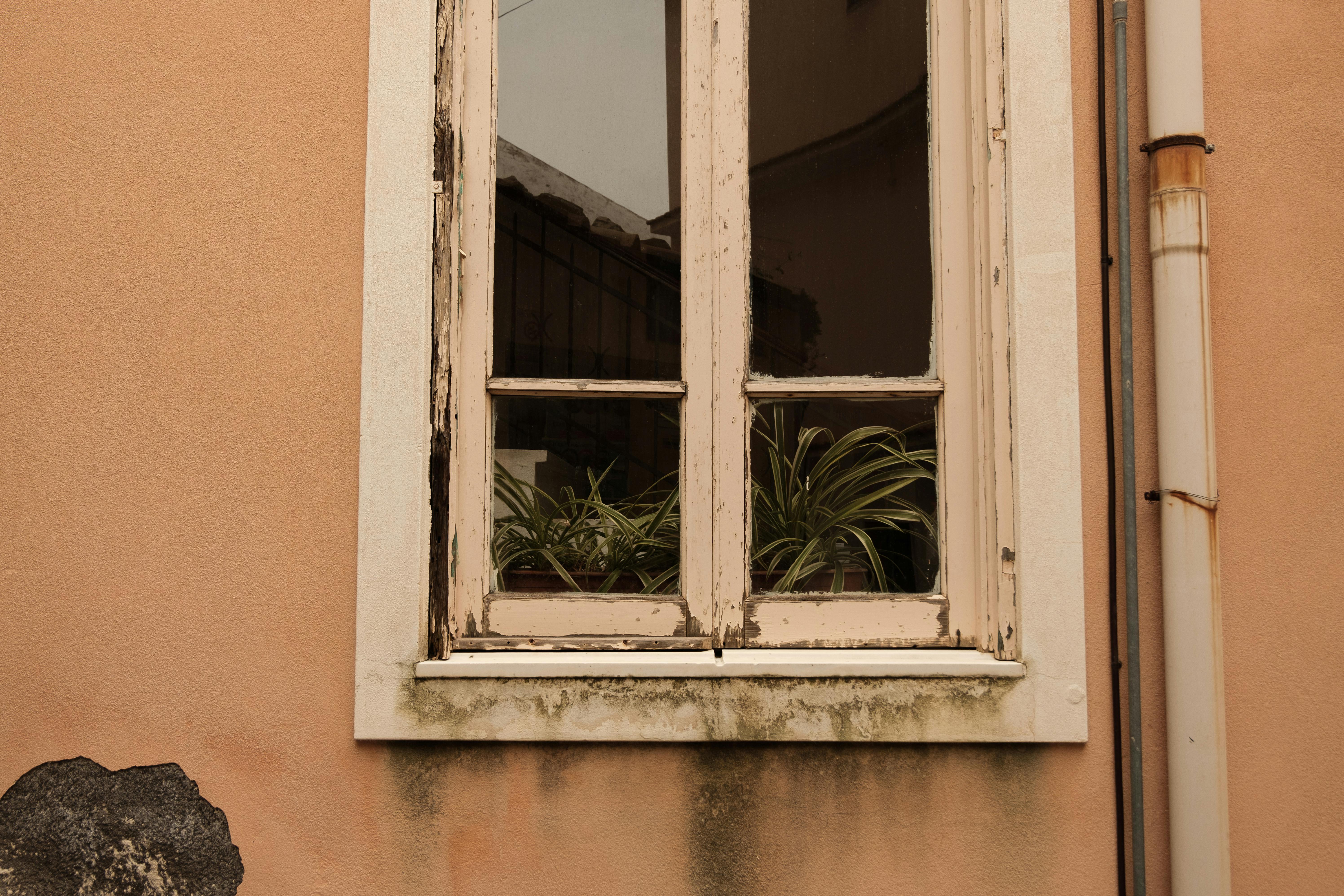 Photo of White Window · Free Stock Photo