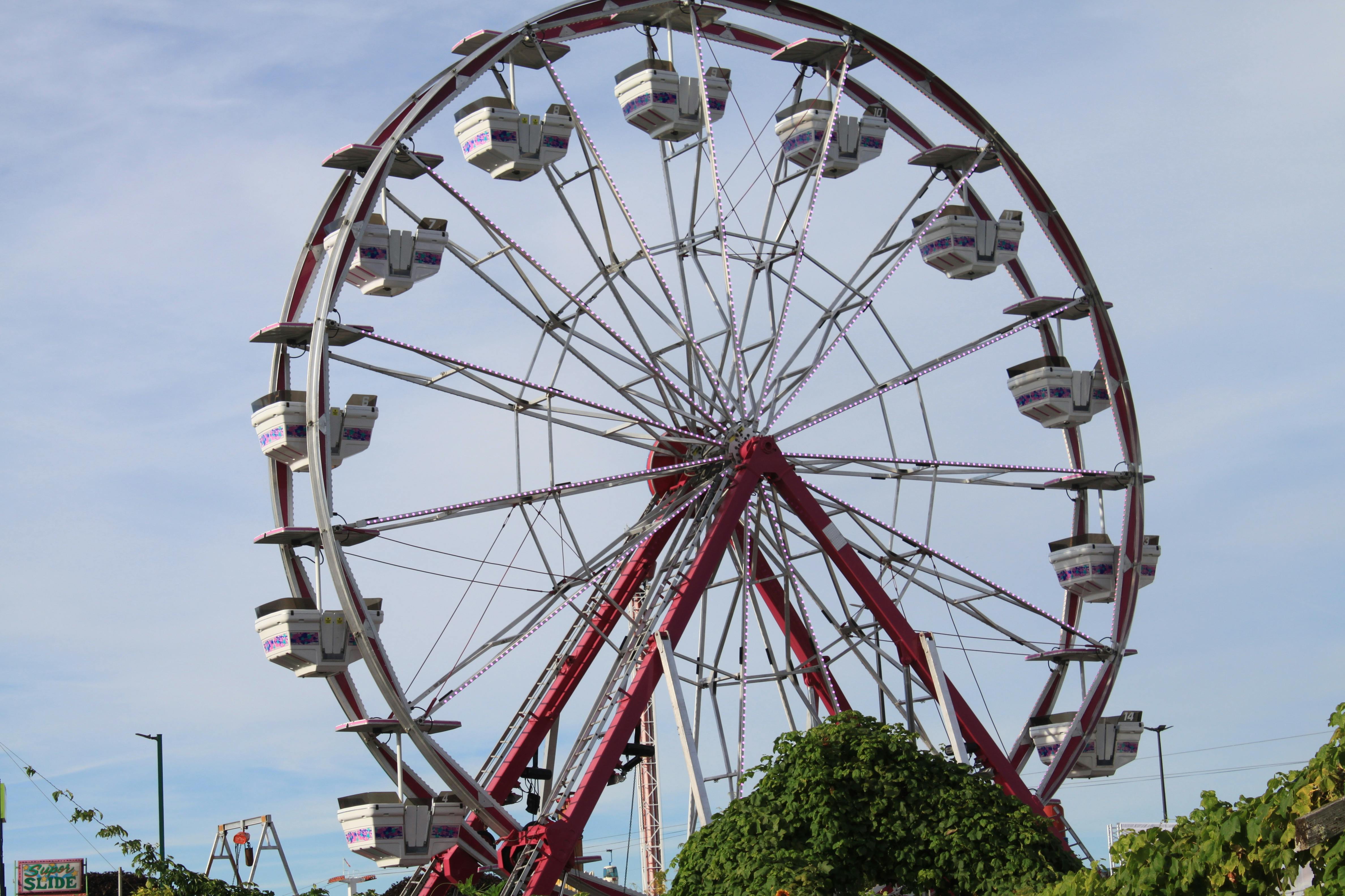 Ferris Wheel at a Theme Park · Free Stock Photo