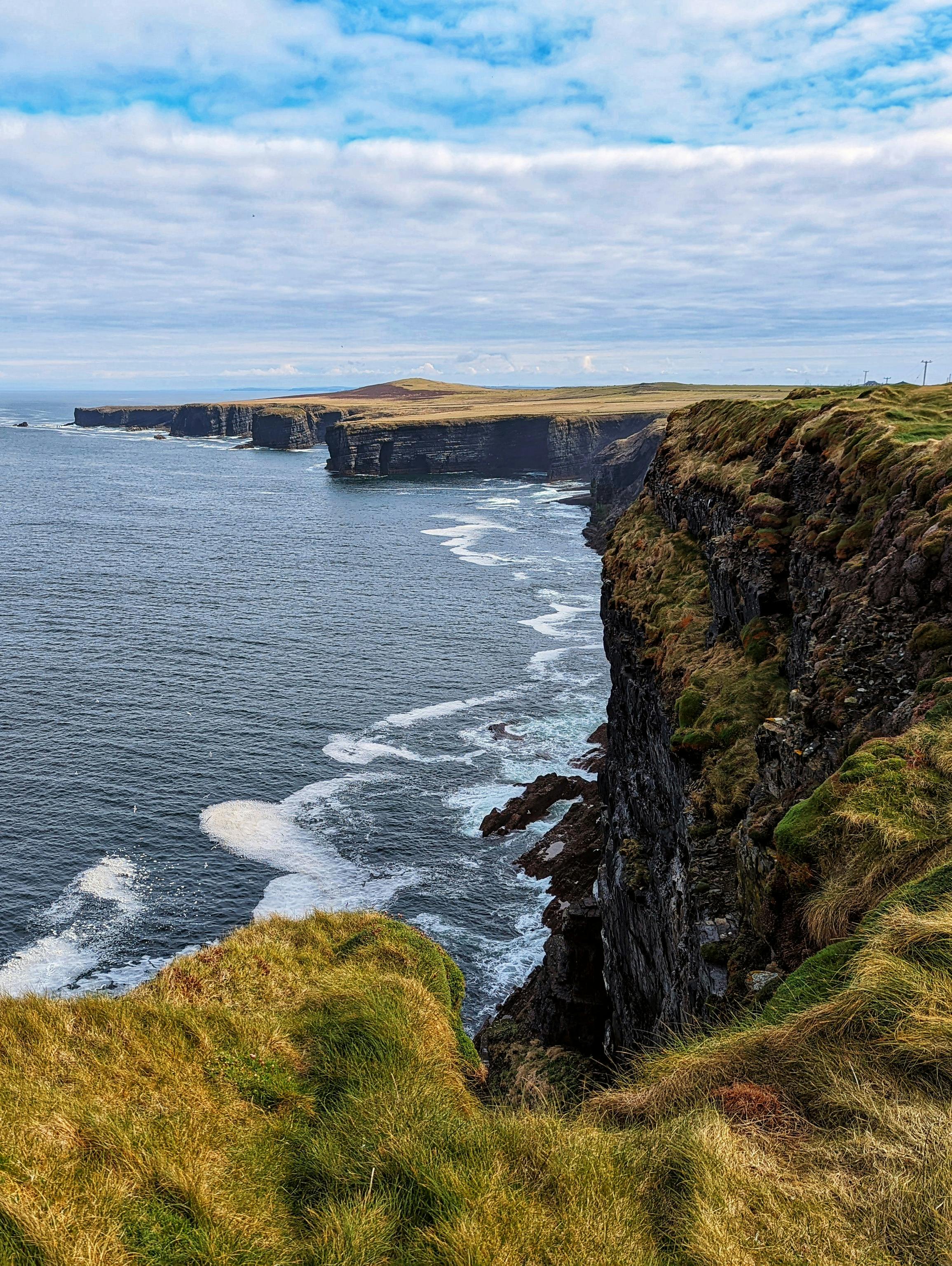 Loop head · Free Stock Photo