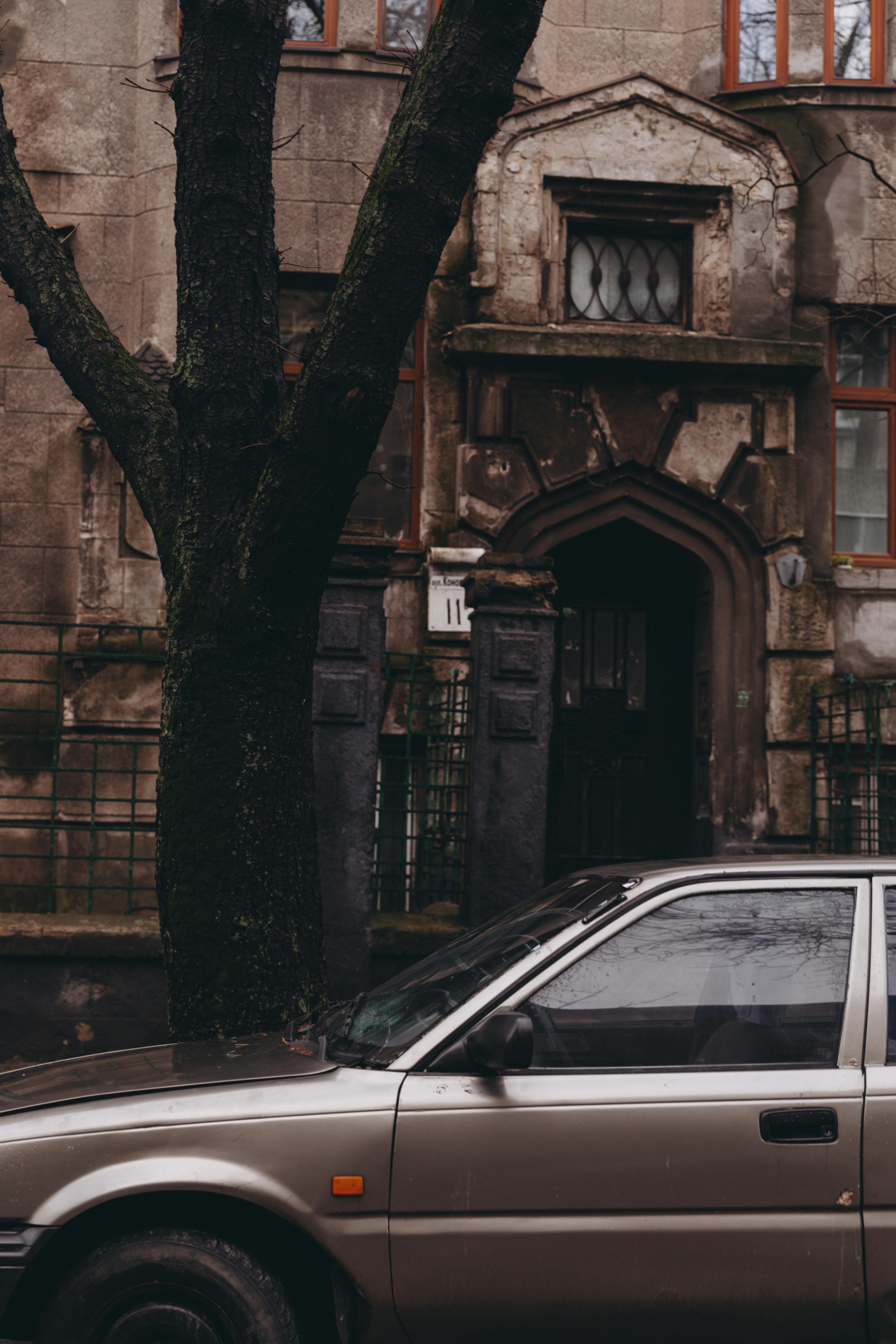 Car Parked Under the Tree · Free Stock Photo
