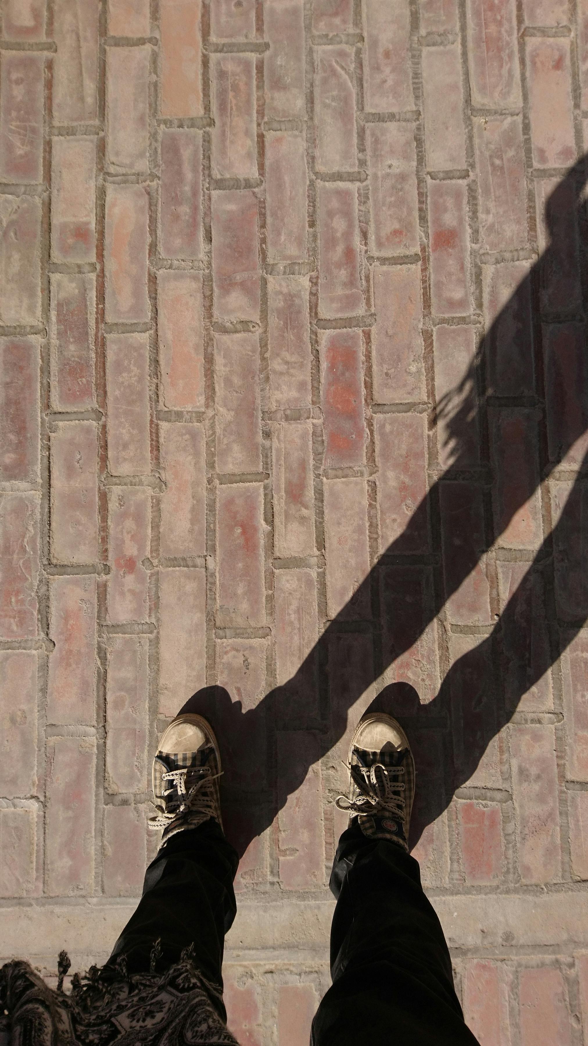 Mrunal Shinde - 摄影