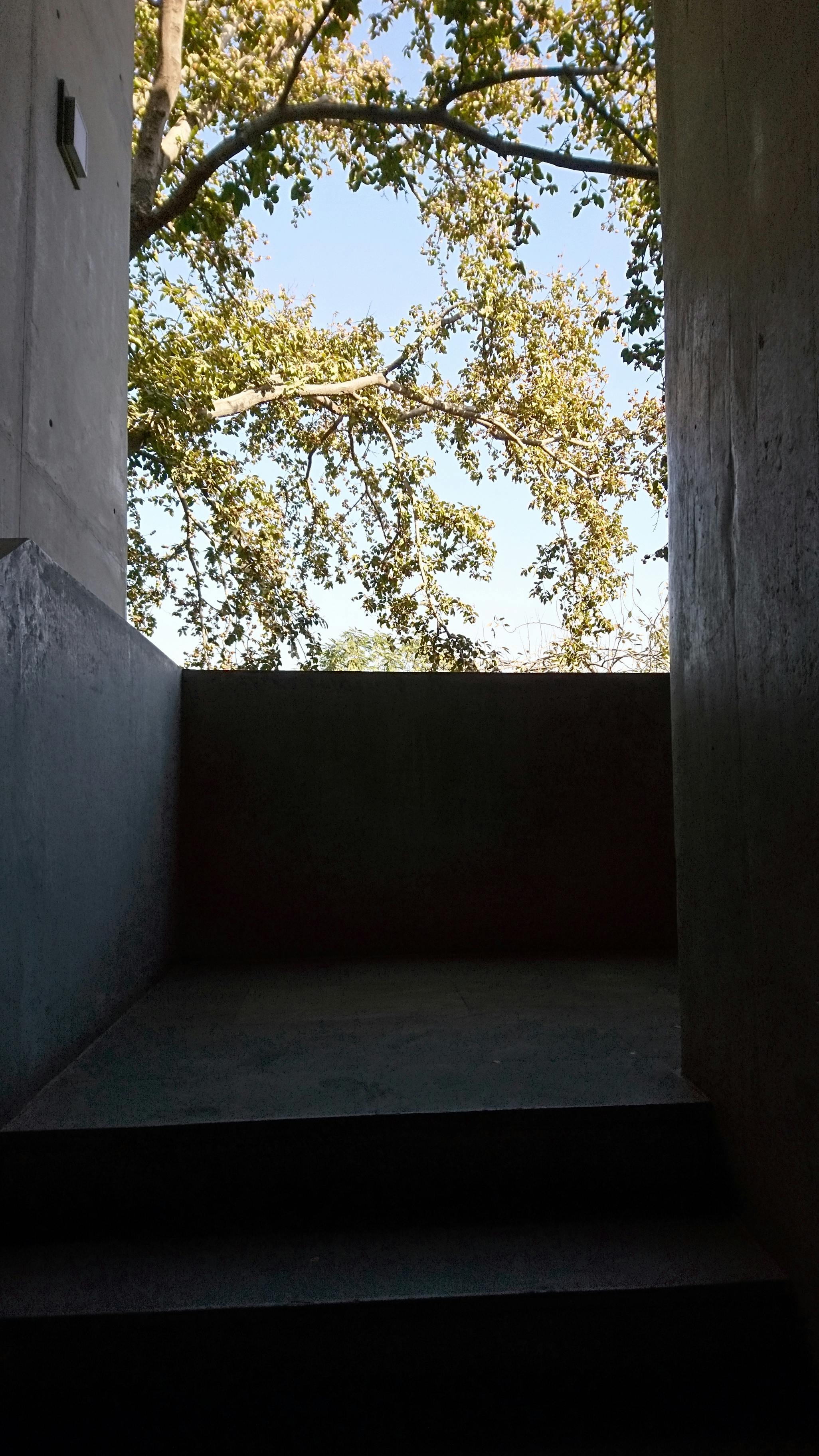 Mrunal Shinde - 摄影