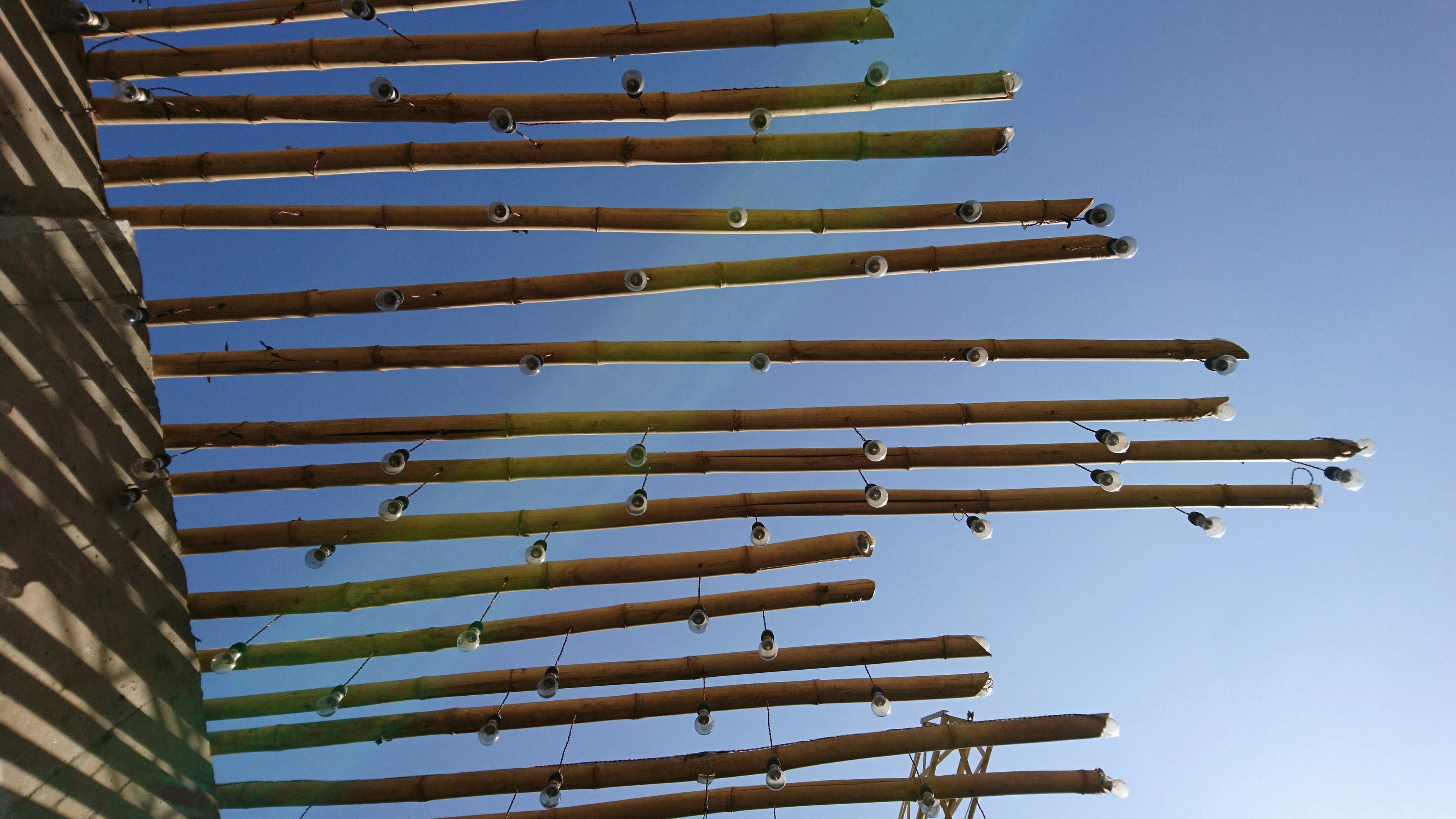 Mrunal Shinde - 摄影